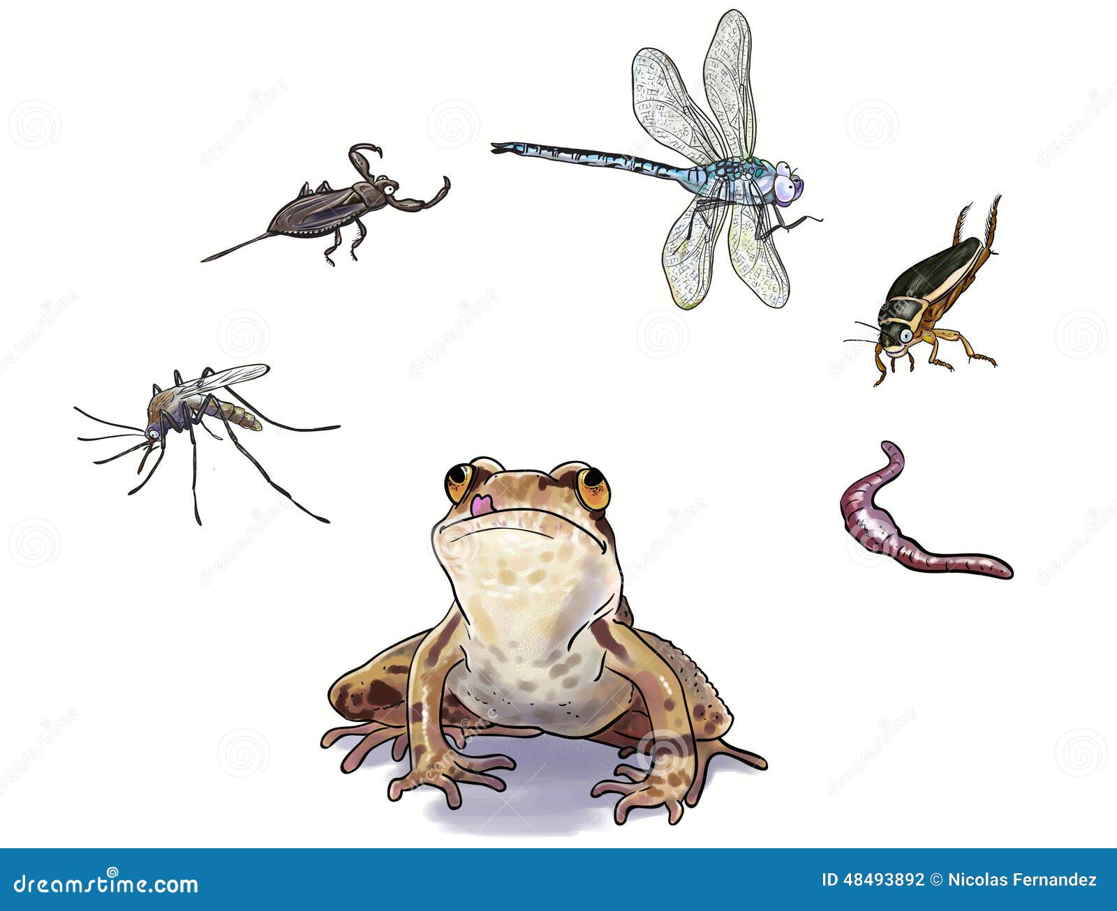 Alimentación De Los Anfibios Stock de ilustración - Imagen: 48493892