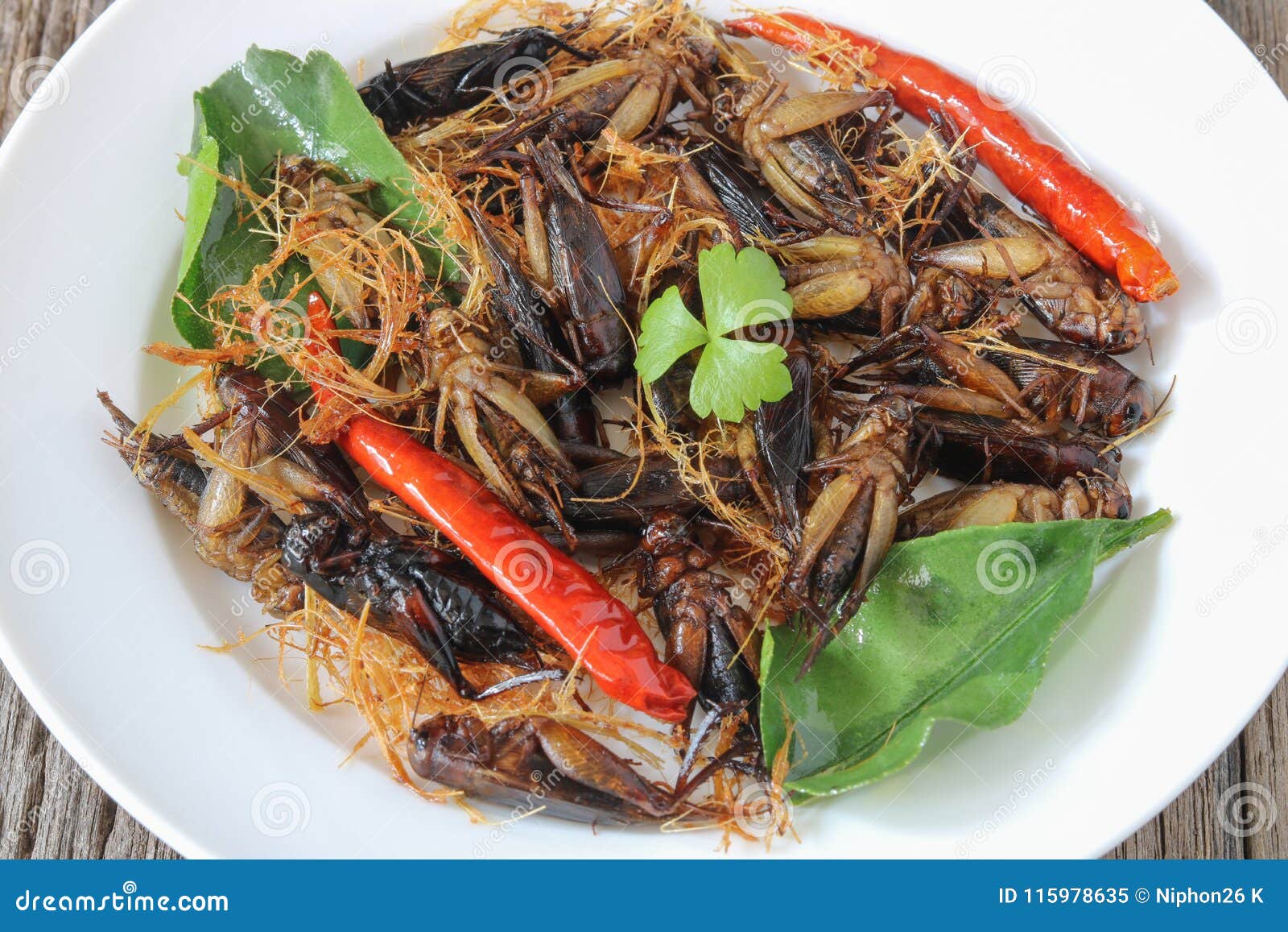 Alimento Degli Insetti Grilli Fritto Con Le Erbe Immagine Stock ...
