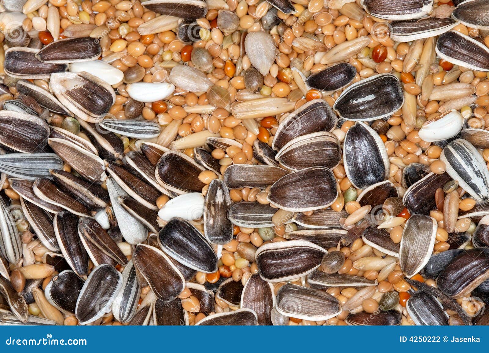 Alimento di granulo fotografia stock. Immagine di struttura - 4250222