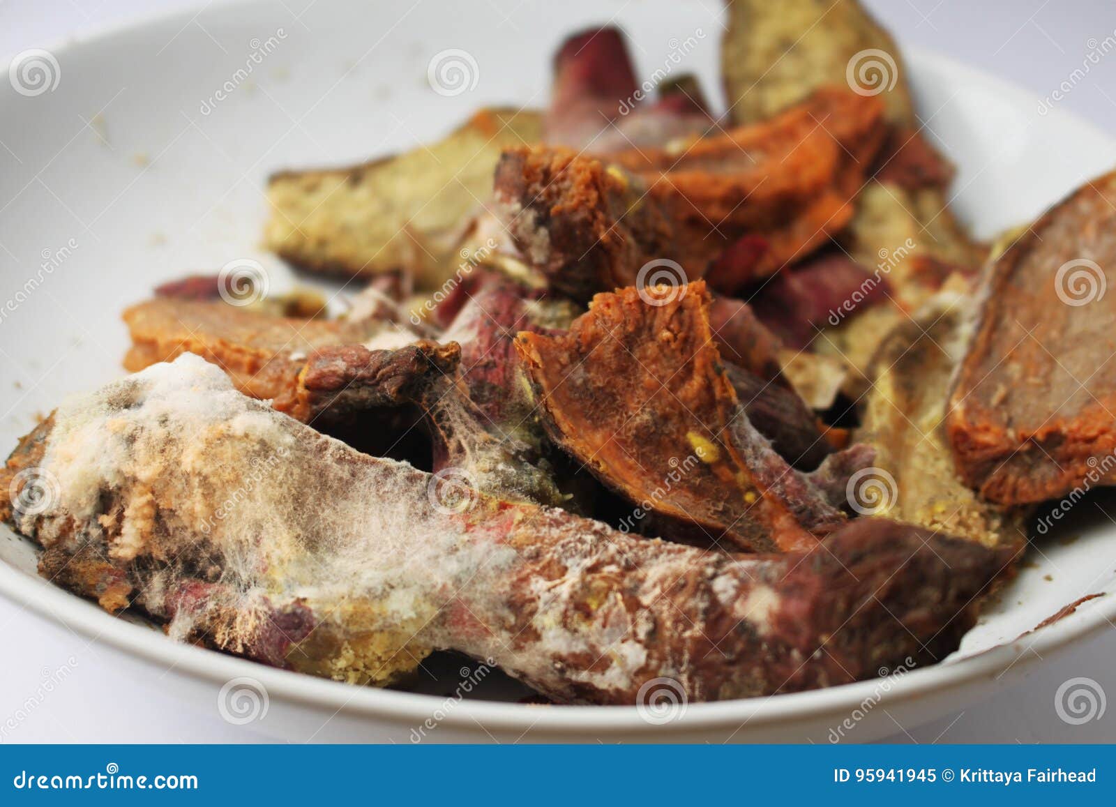 Alimento mofado imagem de stock. Imagem de inedible, danificado - 95941945