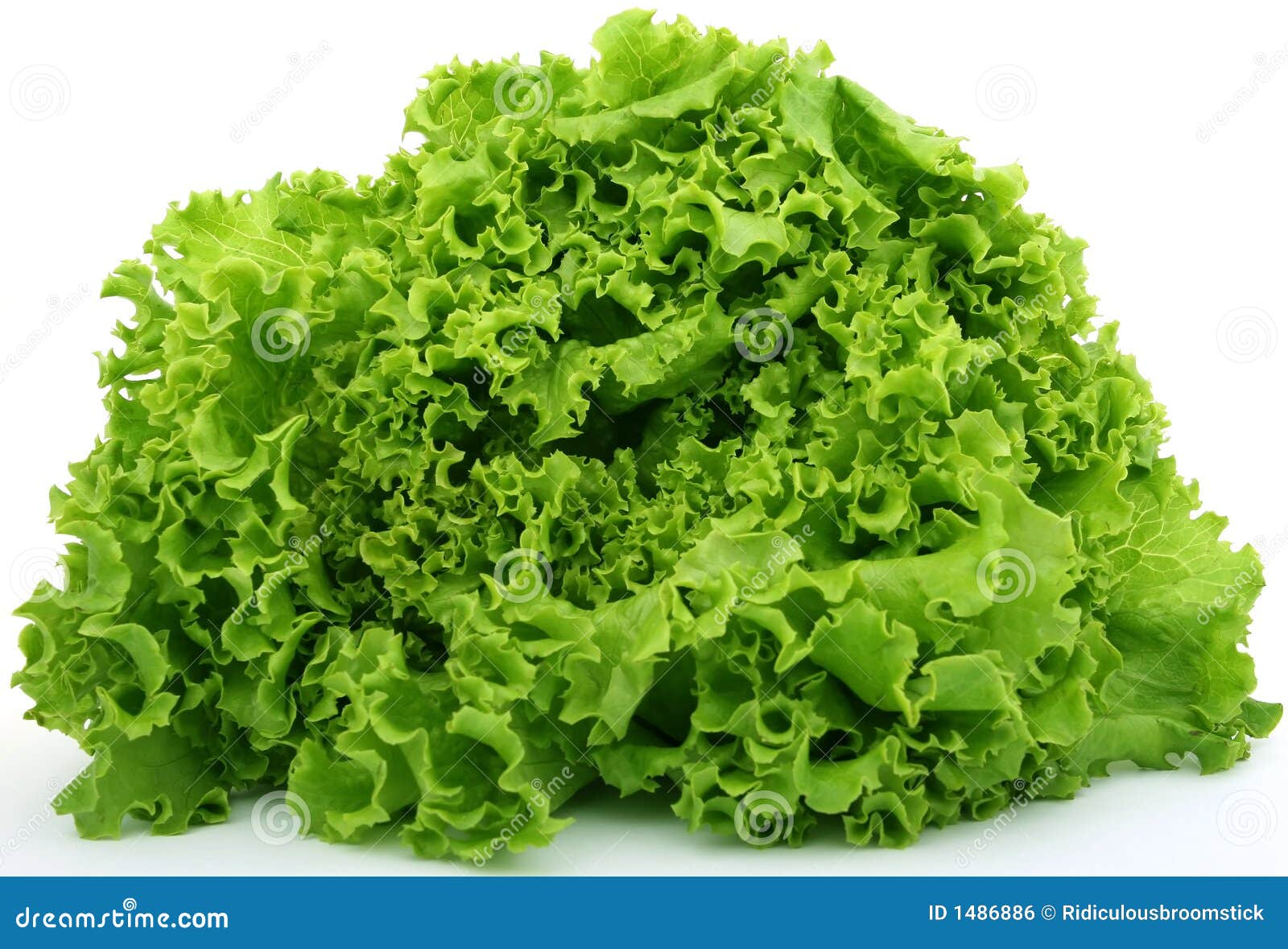 Alimento Verde Fresco Da Alface Foto de Stock - Imagem de ingredientes ...