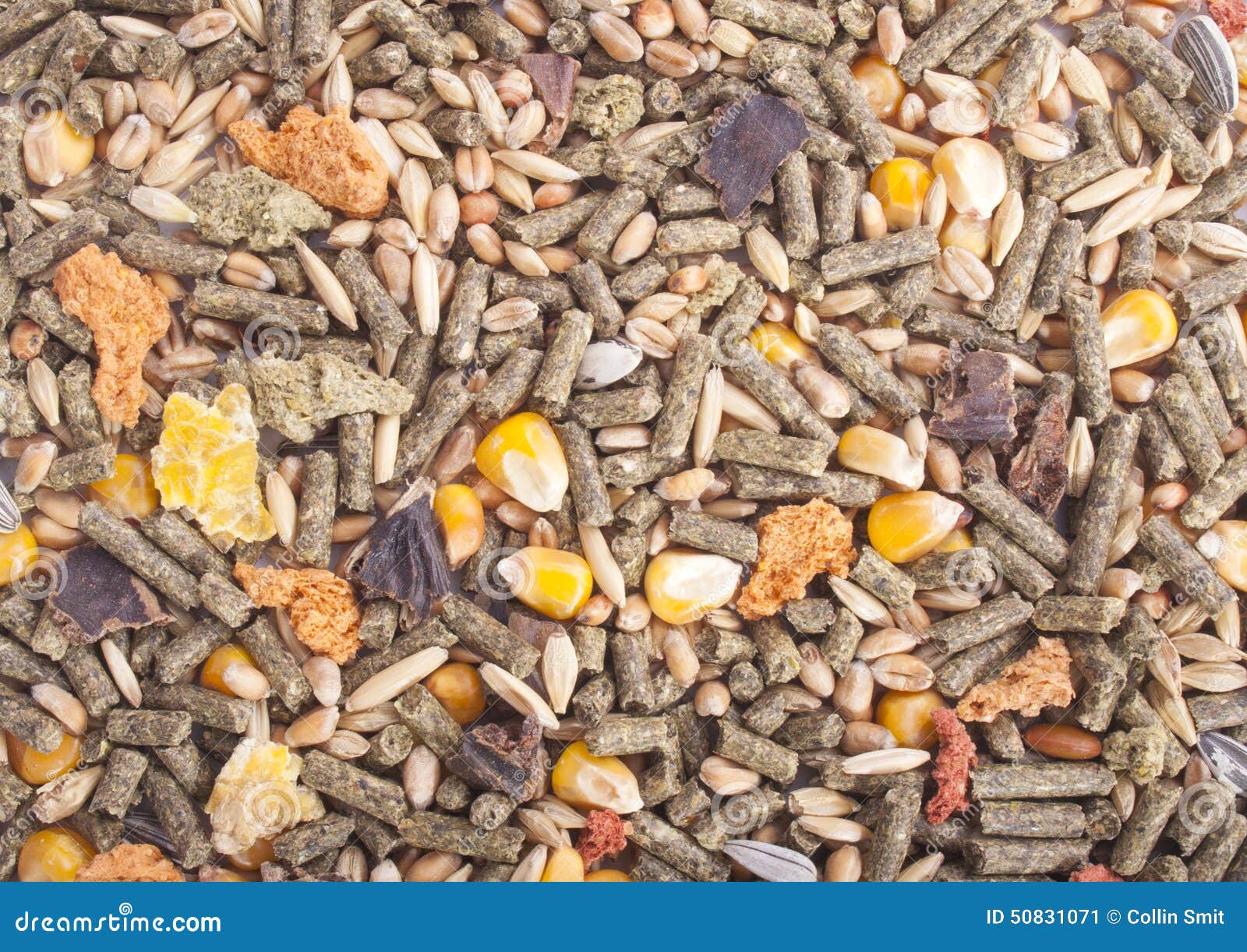 Aliments Pour Animaux De Lapin Image stock - Image du nourriture ...