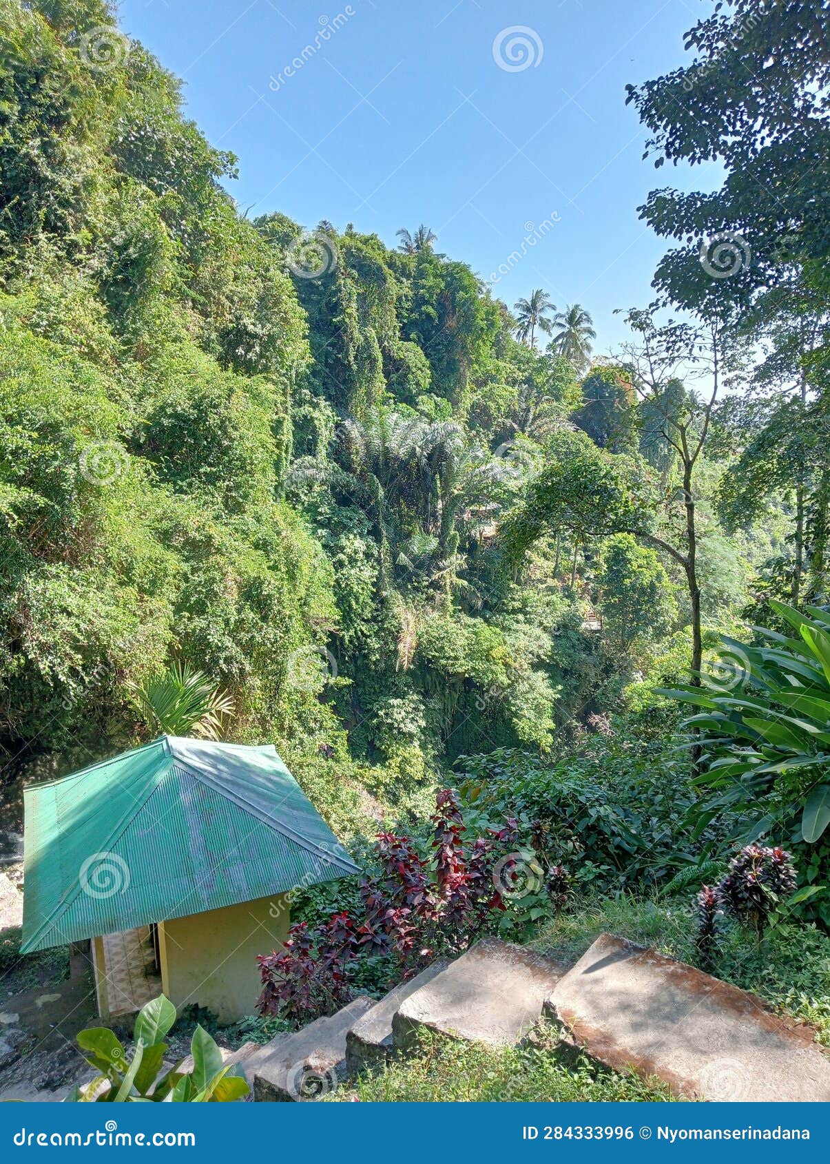 Aling Aling waterfall stock photo. Image of waterfa - 284333996