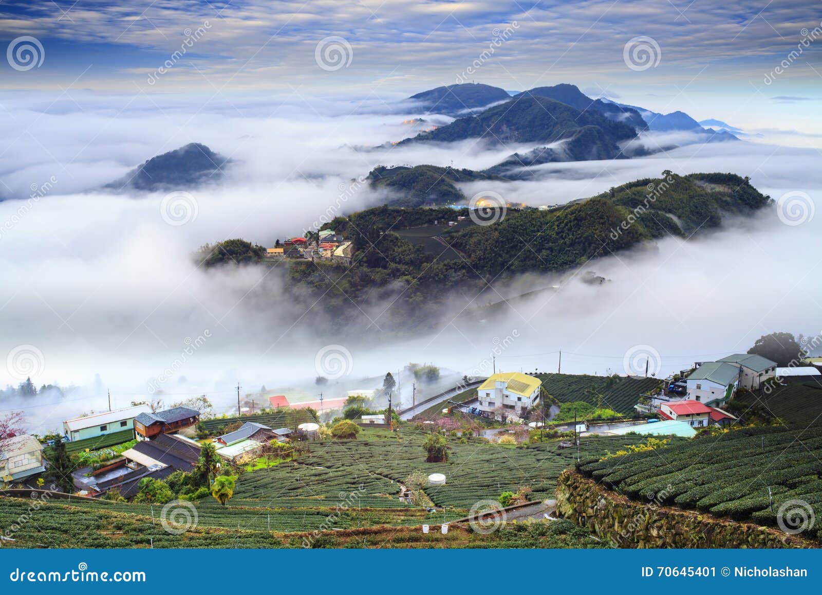 Alishan,Chiayi County,Taiwan:Sunset Clouds Stock Image - Image of tree ...
