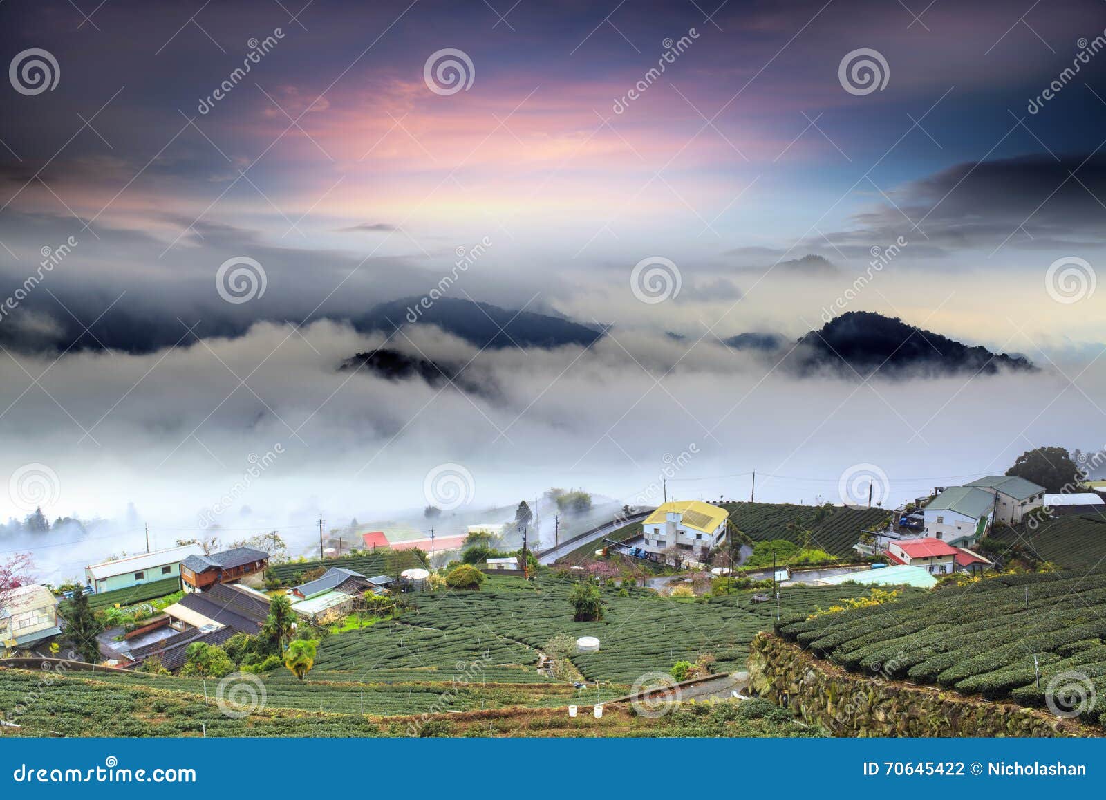 Alishan,Chiayi County,Taiwan:Sunset Clouds Stock Photo - Image of light ...
