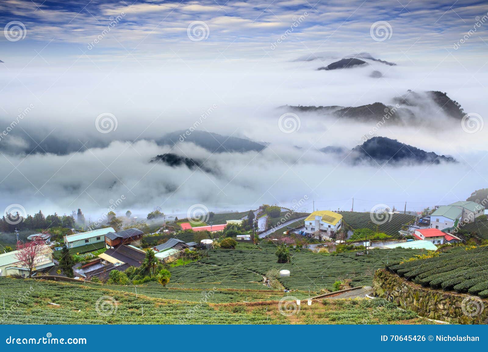 Alishan,Chiayi County,Taiwan:Sunset Clouds Stock Photo - Image of ...