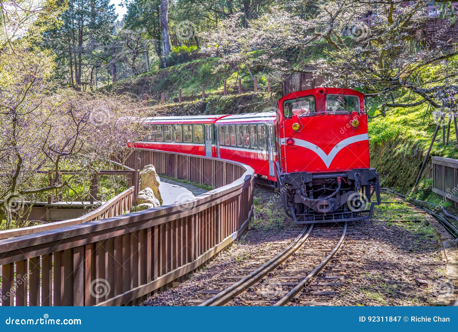 Alishan Forest Railway Narrow Gauge Train Royalty-Free Stock Photo ...