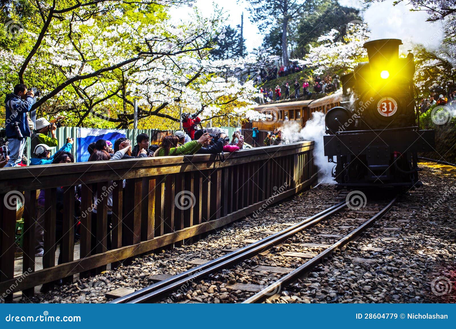 Alishan Forest train editorial stock image. Image of nature - 28604779