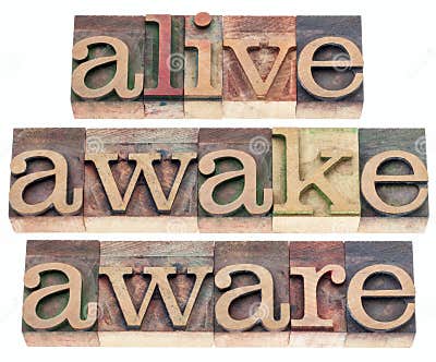 Alive, awake, aware stock photo. Image of word, sign - 29423850