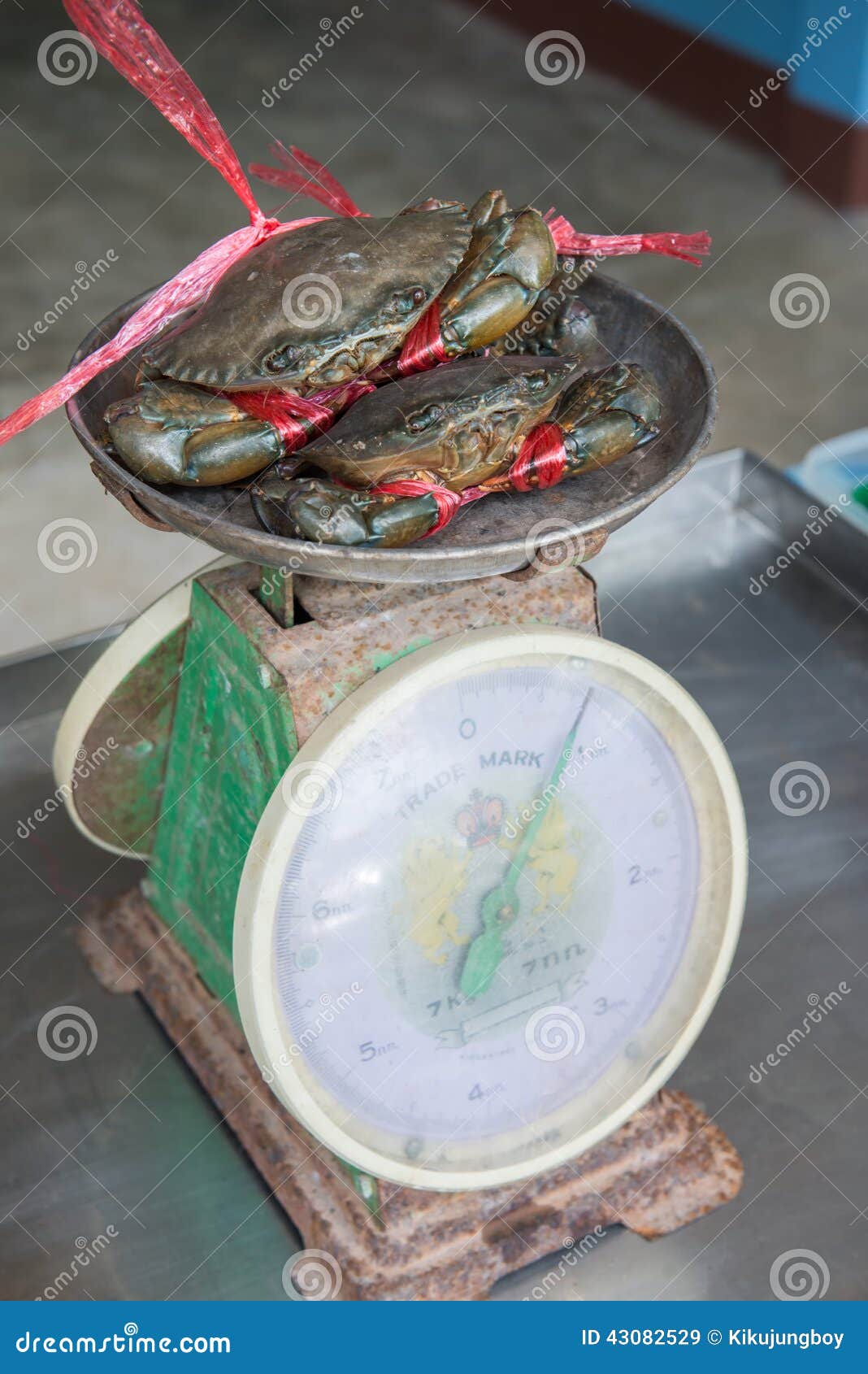 Alive Crabs on Balance at the Market Stock Image - Image of diet ...