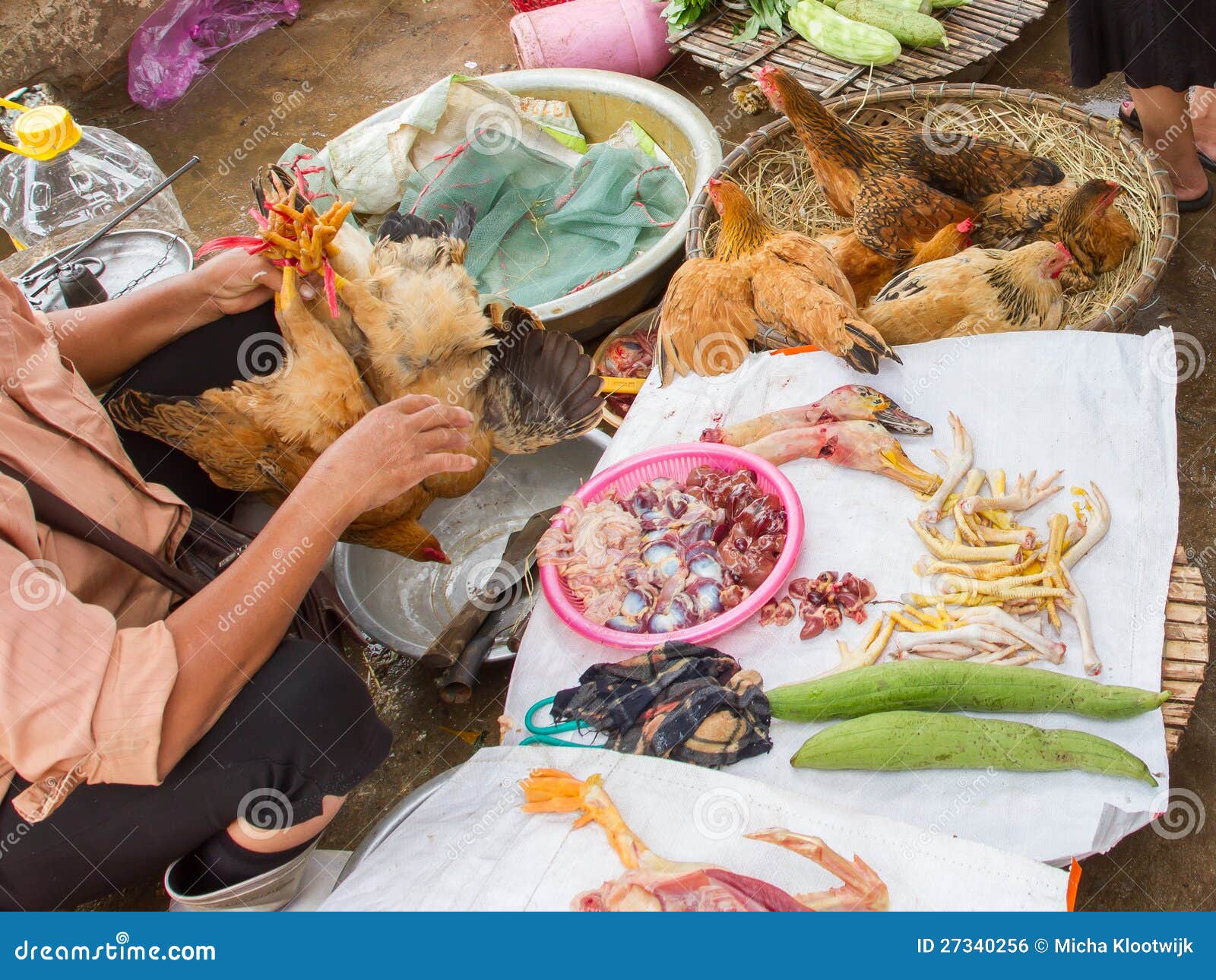 Alive Poultry Offered for Sale on a Market Editorial Photo - Image of ...
