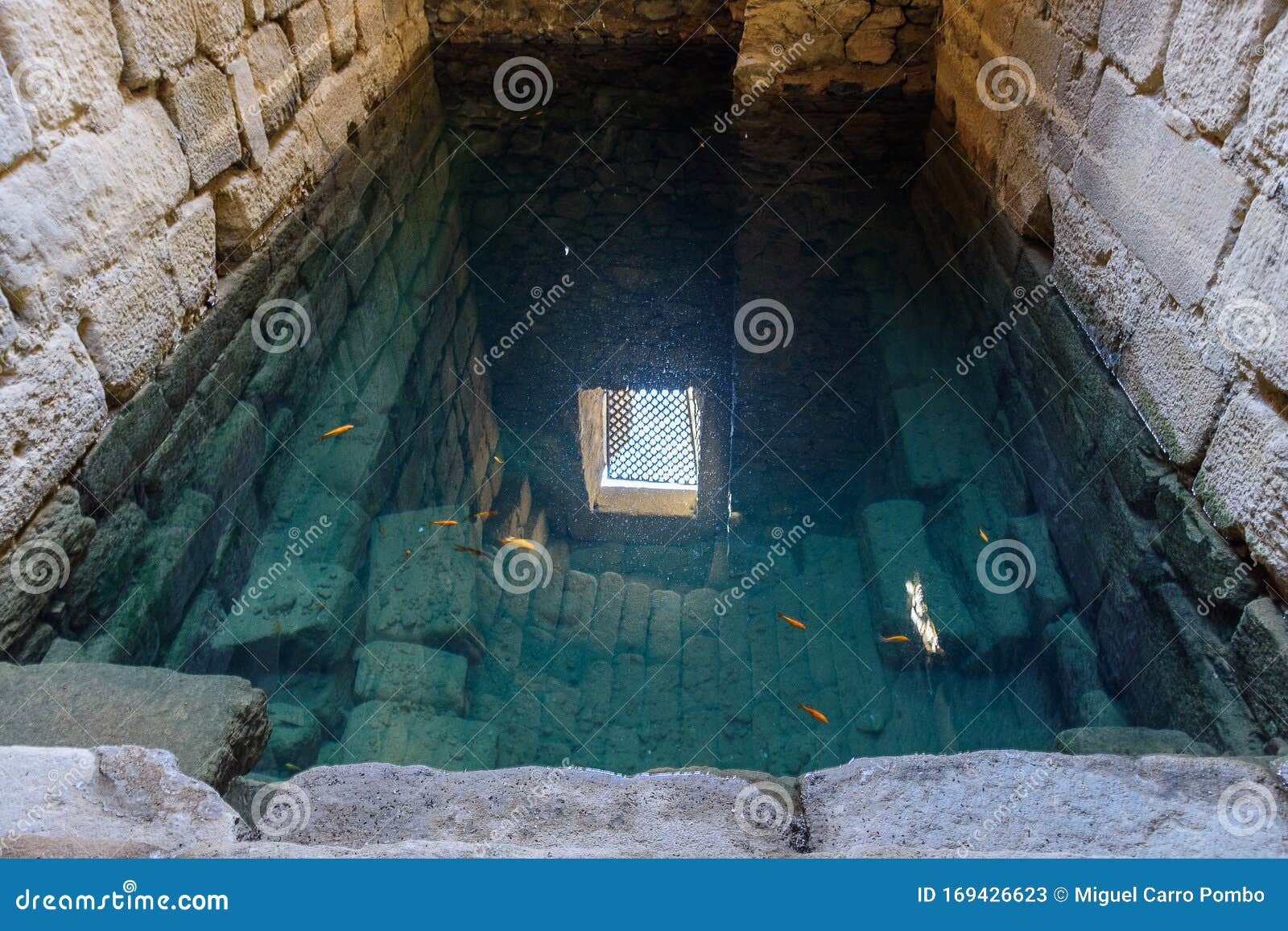 Aljibe of the Alcazaba De Merida in Spain Stock Image - Image of green ...