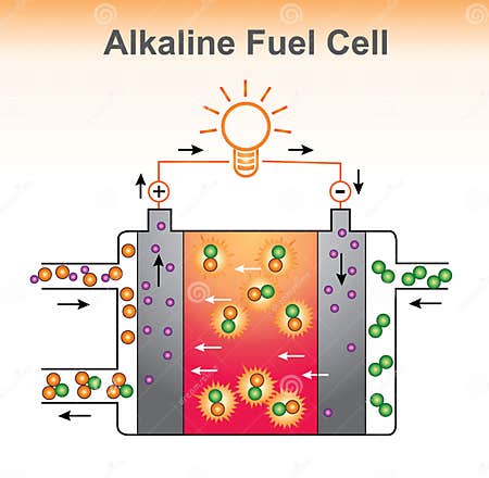 The Alkaline Fuel Cell Structure. Stock Vector - Illustration of flow ...