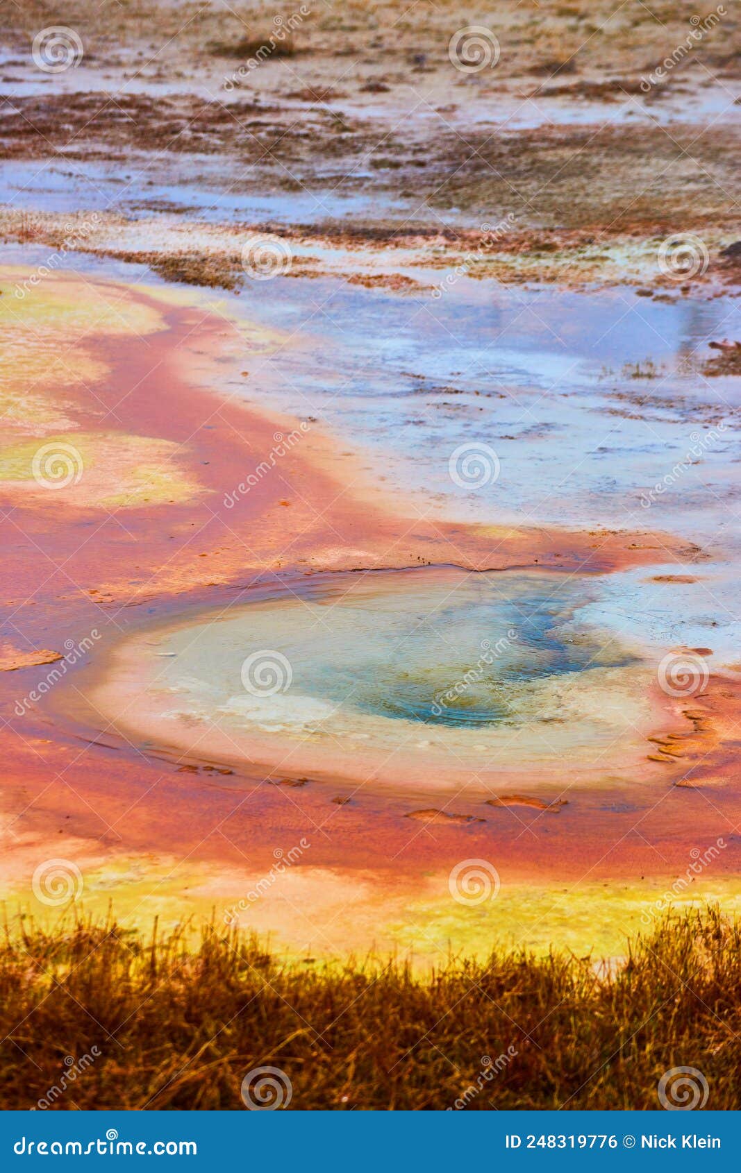 Colorful Pools Royalty-Free Stock Photo | CartoonDealer.com #23666481