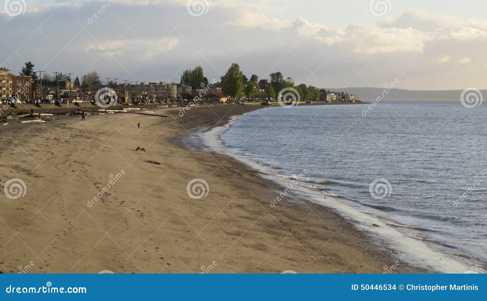 Alki beach Seattle stock photo. Image of great, sand - 50446534