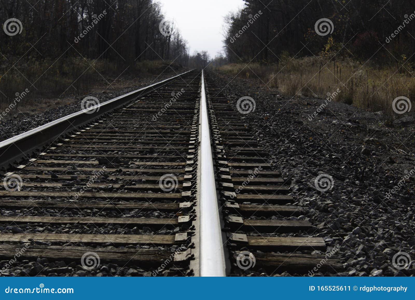 All Along the Railroad Tracks. Stock Image - Image of railway ...