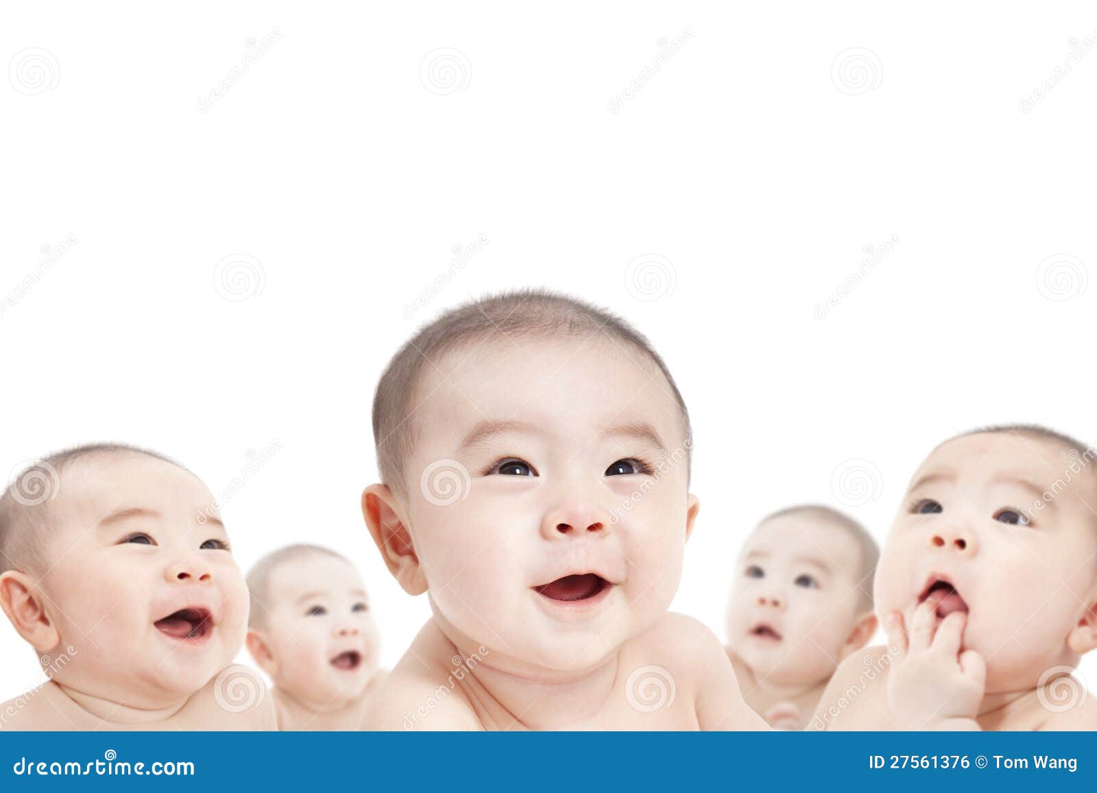 All baby are looking up stock photo. Image of group, funny - 27561376