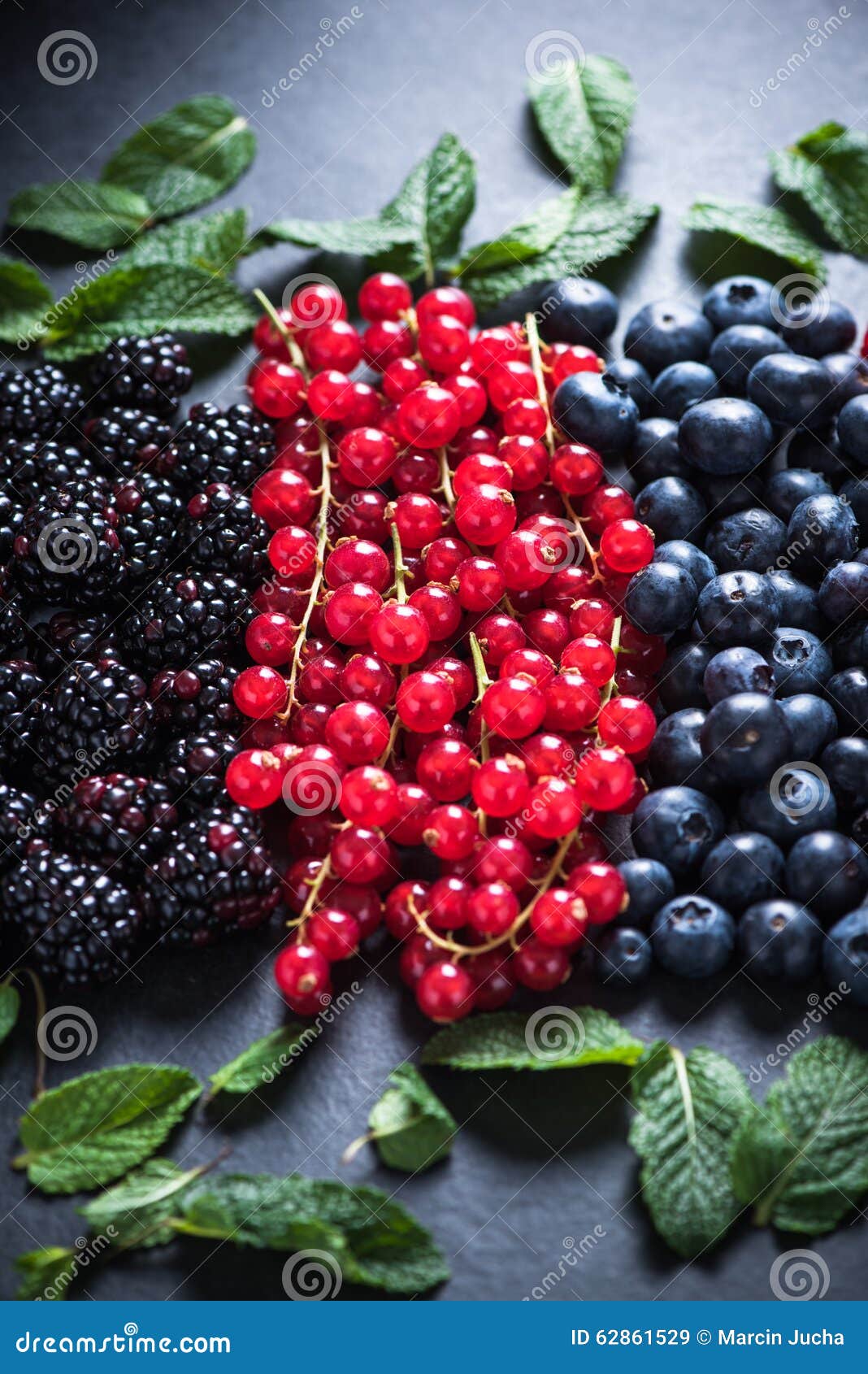 All Berries Fresh, from Farm or Forest Stock Image - Image of diet ...