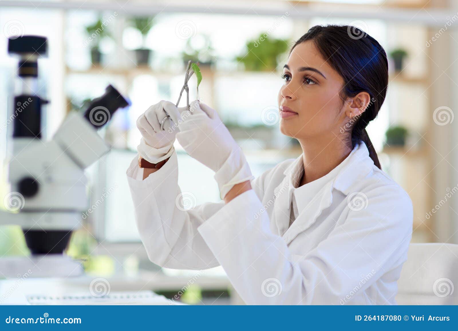 All about Botany. a Young Scientist Working with Plant Samples in a Lab ...