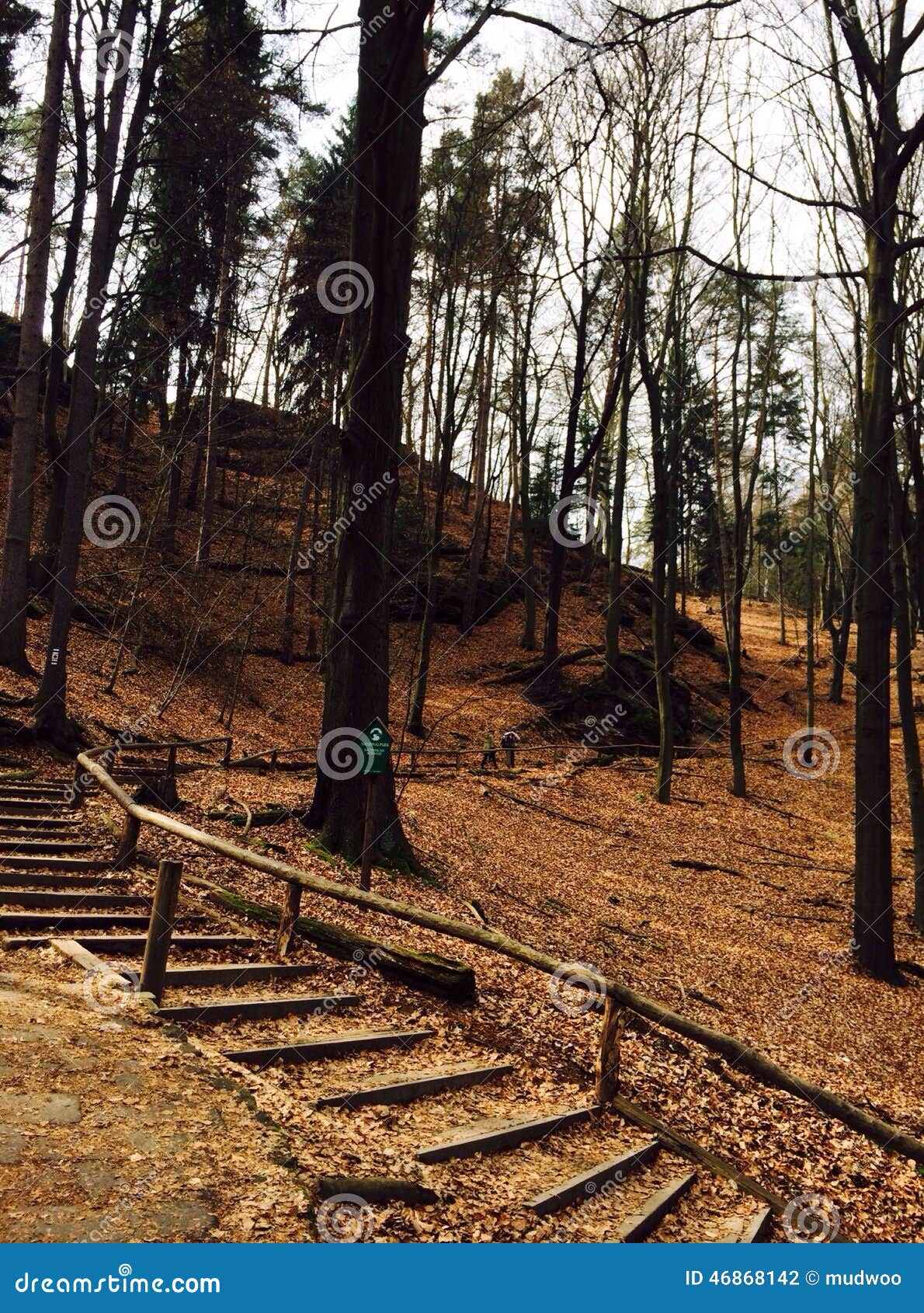 All brown stock photo. Image of brown, trekking, beautiful - 46868142