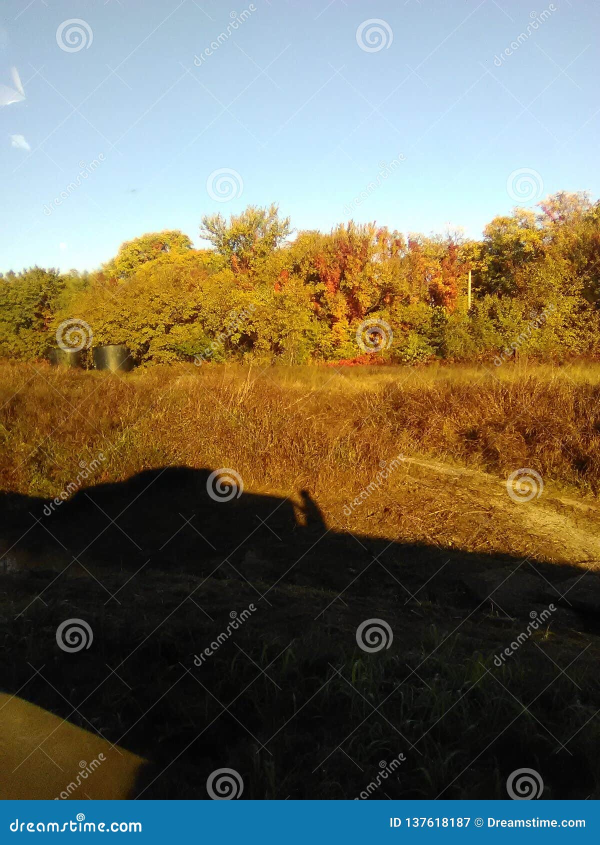 All the Colors of Fall Season Stock Image - Image of allcolors, colors ...