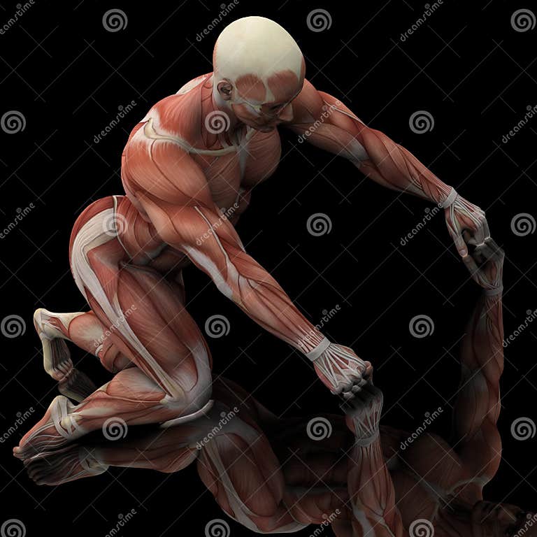 All fours stock illustration. Illustration of hallow - 21476923