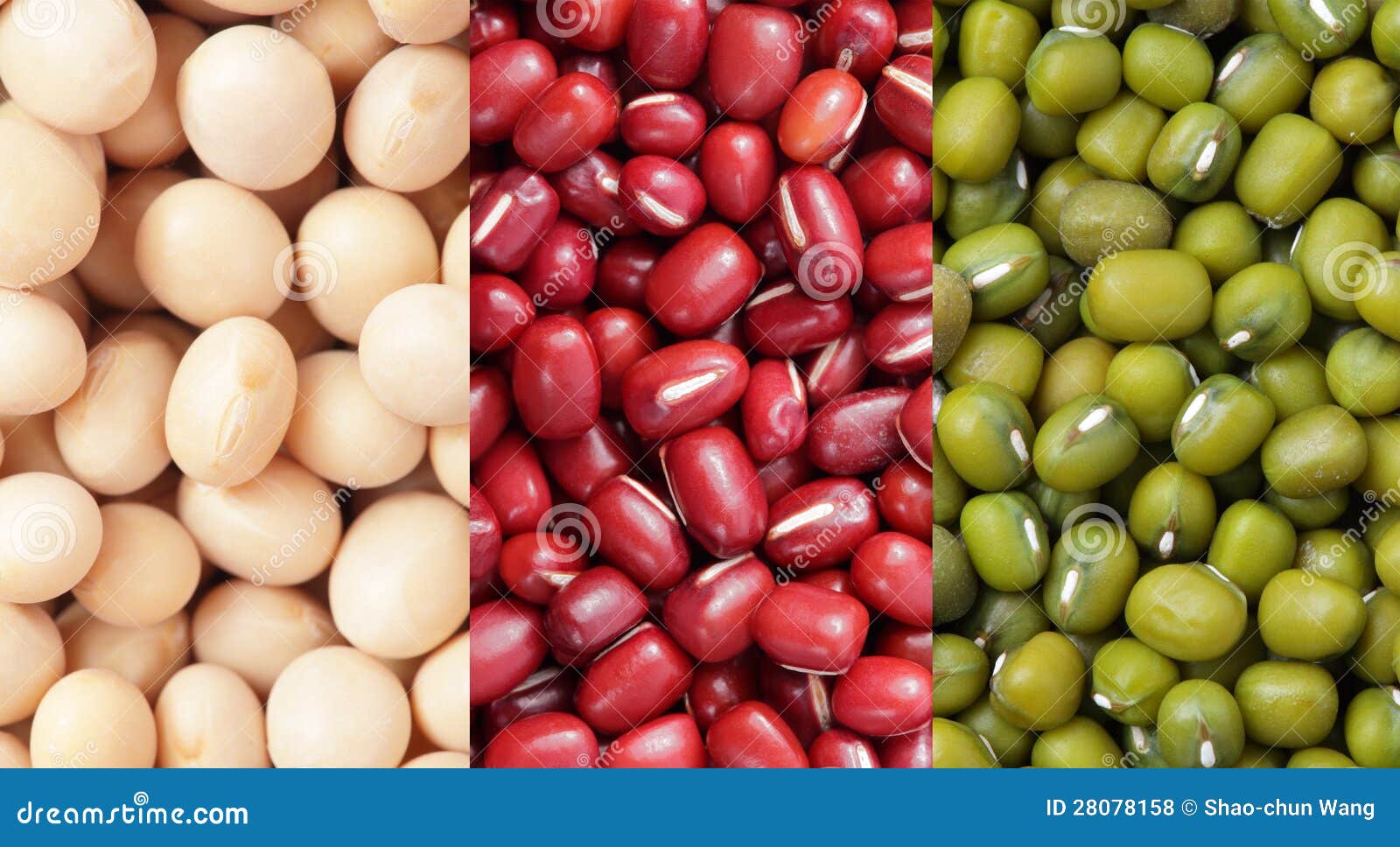 All kind of beans stock photo. Image of fiber, macro - 28078158