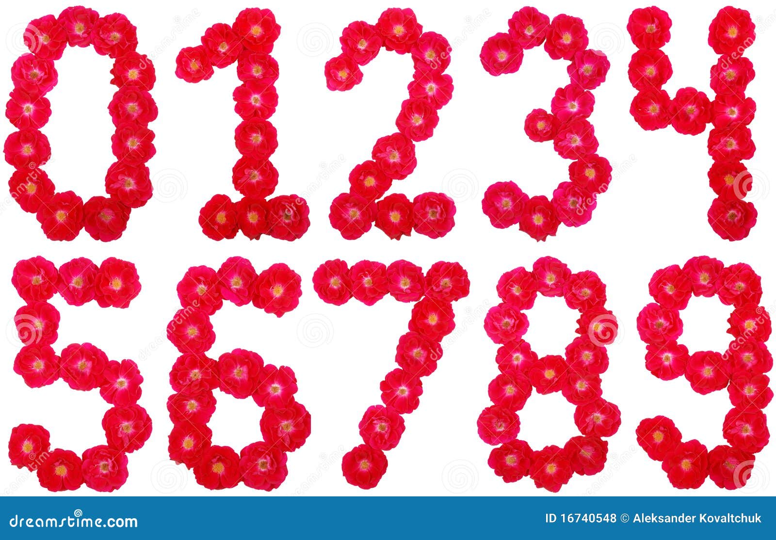 Number 2 Red Roses Illustration Stock Photography | CartoonDealer.com ...