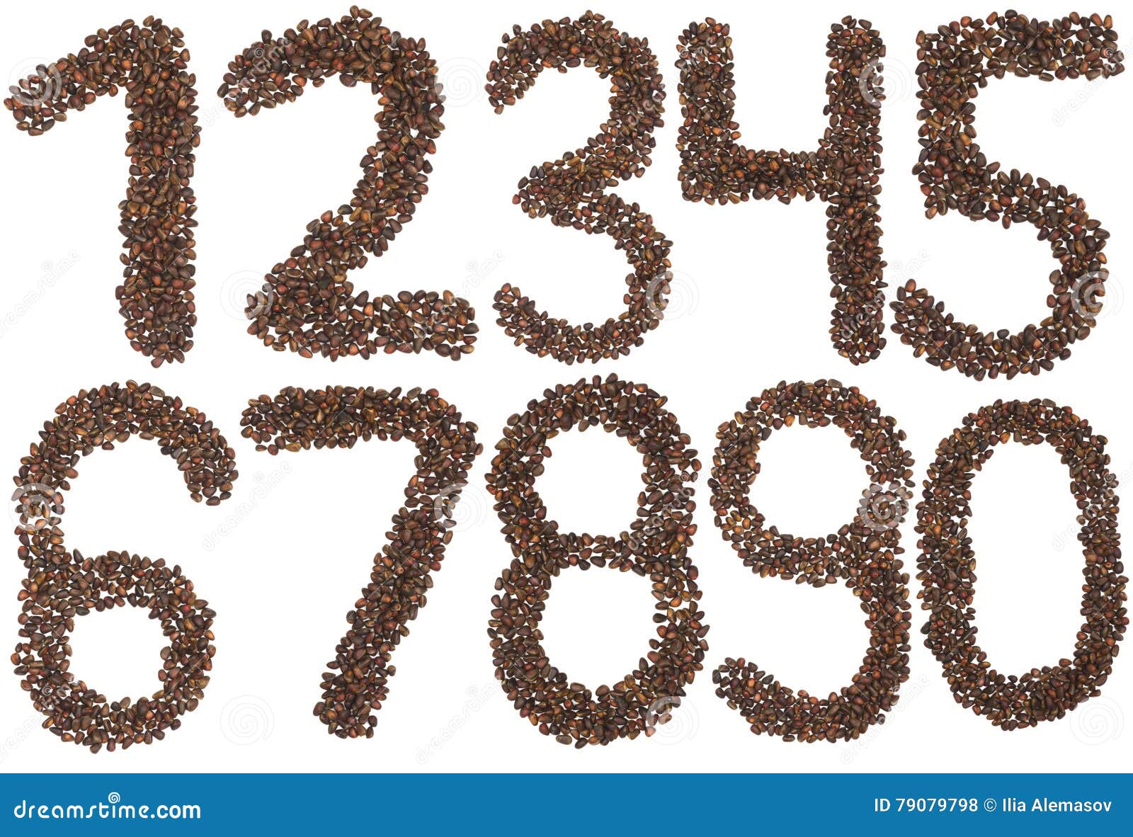All Number Made of Cedar Nuts Stock Photo - Image of nine, isolated ...