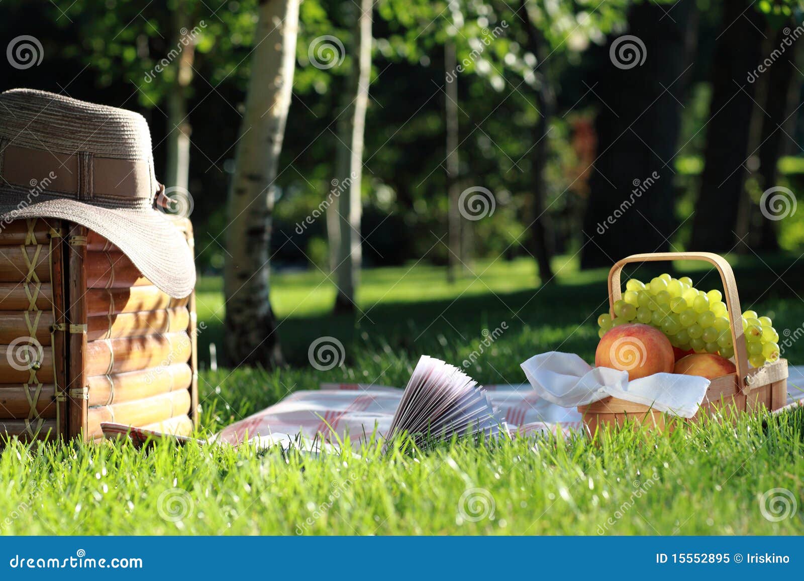 All ready for picnic stock image. Image of grass, suitcase - 15552895