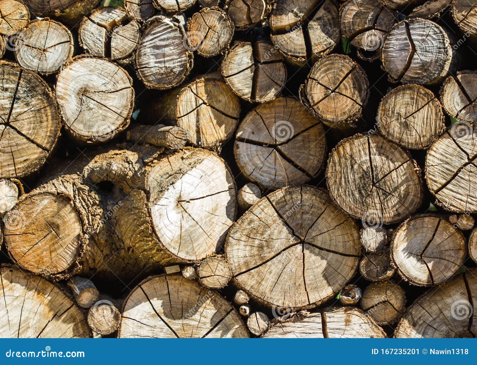 All Round Teak Wood Stump Background Stock Image - Image of timber ...