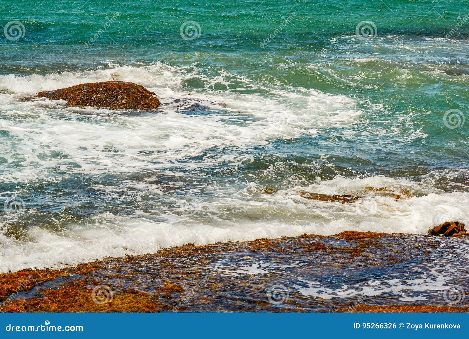 All Shades of Blue of the Pacific Ocean. Stock Photo - Image of waves ...