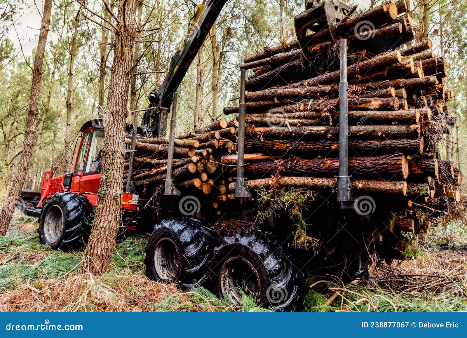 All-terrain Forestry Forwarder for Handling and Transporting Tree ...