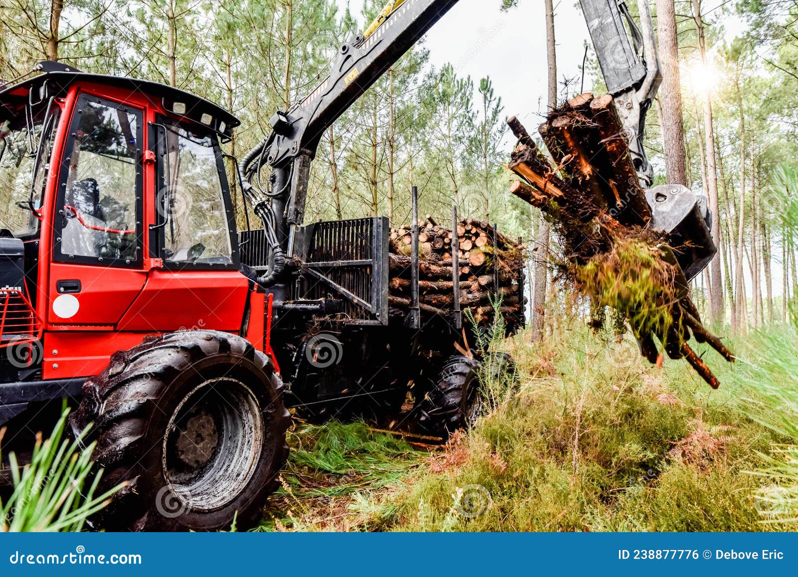 All-terrain Forestry Forwarder for Handling and Transporting Tree ...