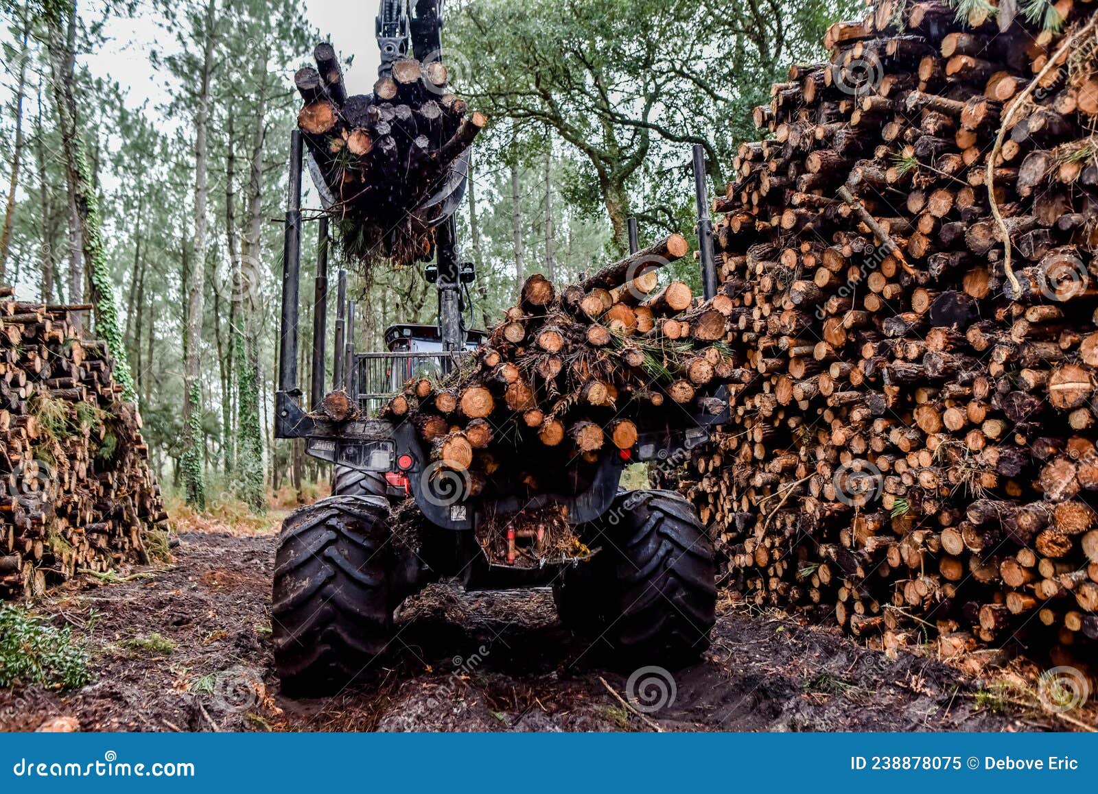 All-terrain Forestry Forwarder for Handling and Transporting Tree ...