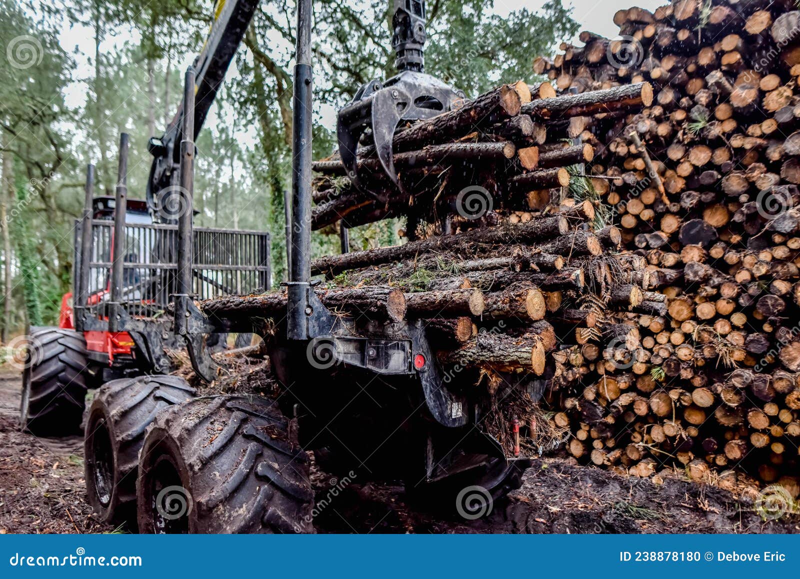 All-terrain Forestry Forwarder for Handling and Transporting Tree ...