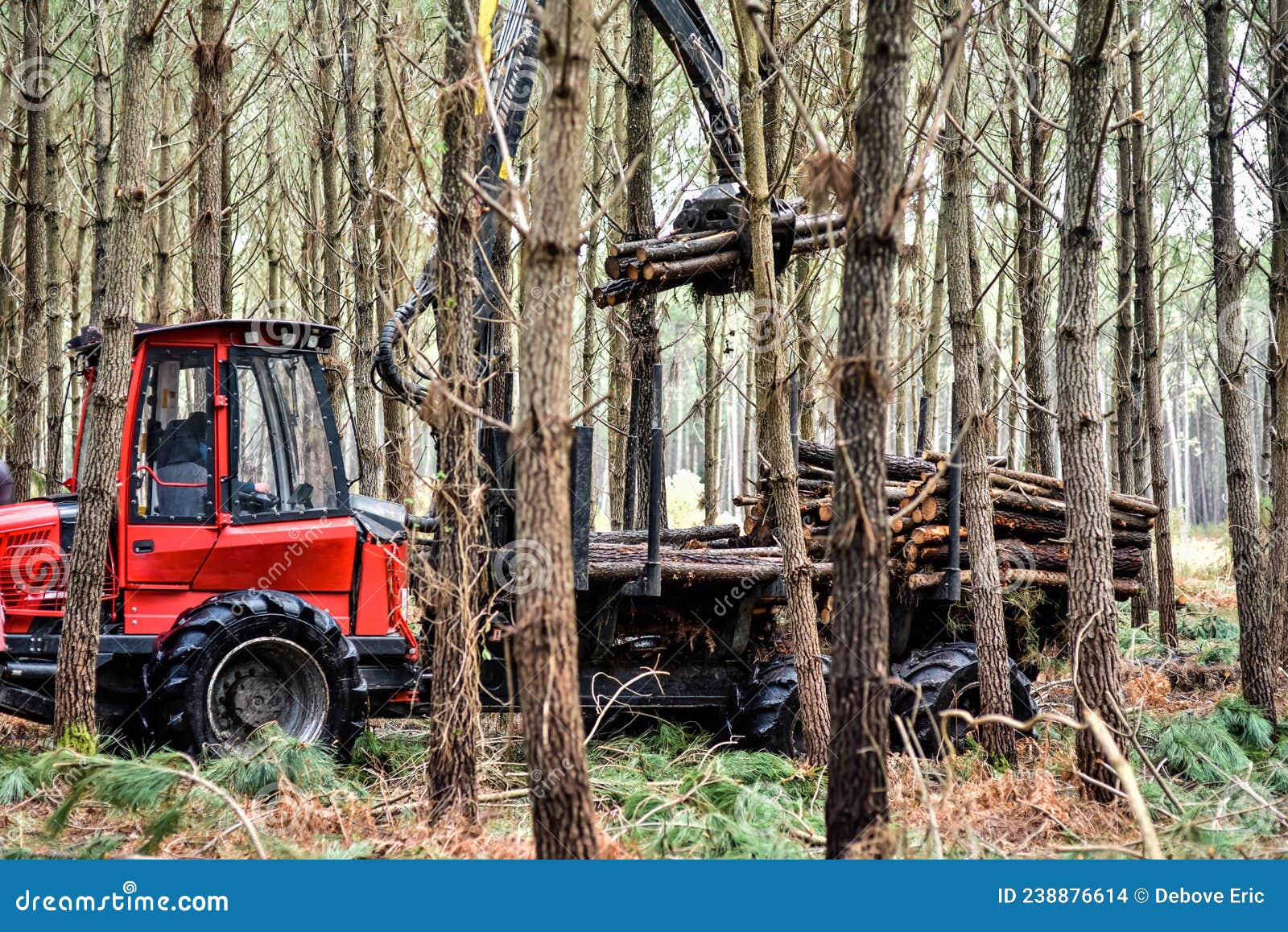All-terrain Forestry Forwarder for Handling and Transporting Tree ...