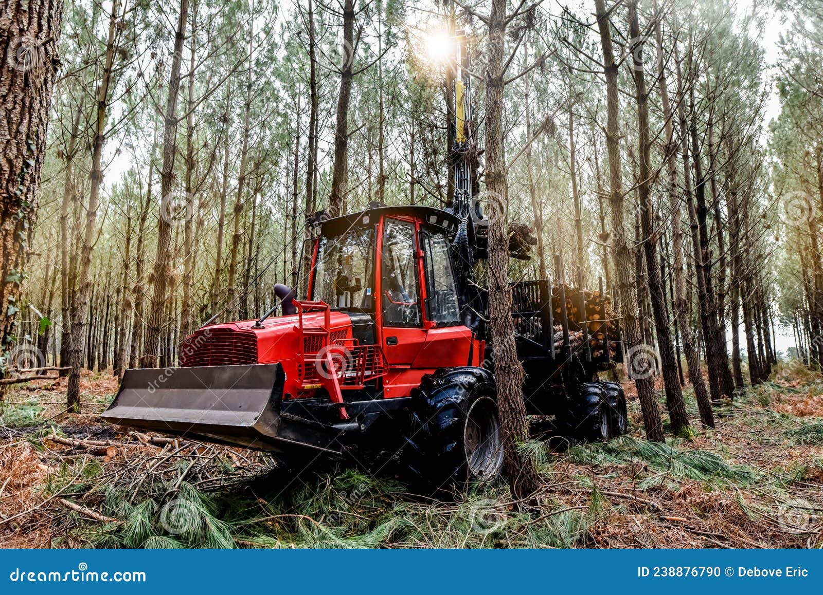 All-terrain Forestry Forwarder for Handling and Transporting Tree ...