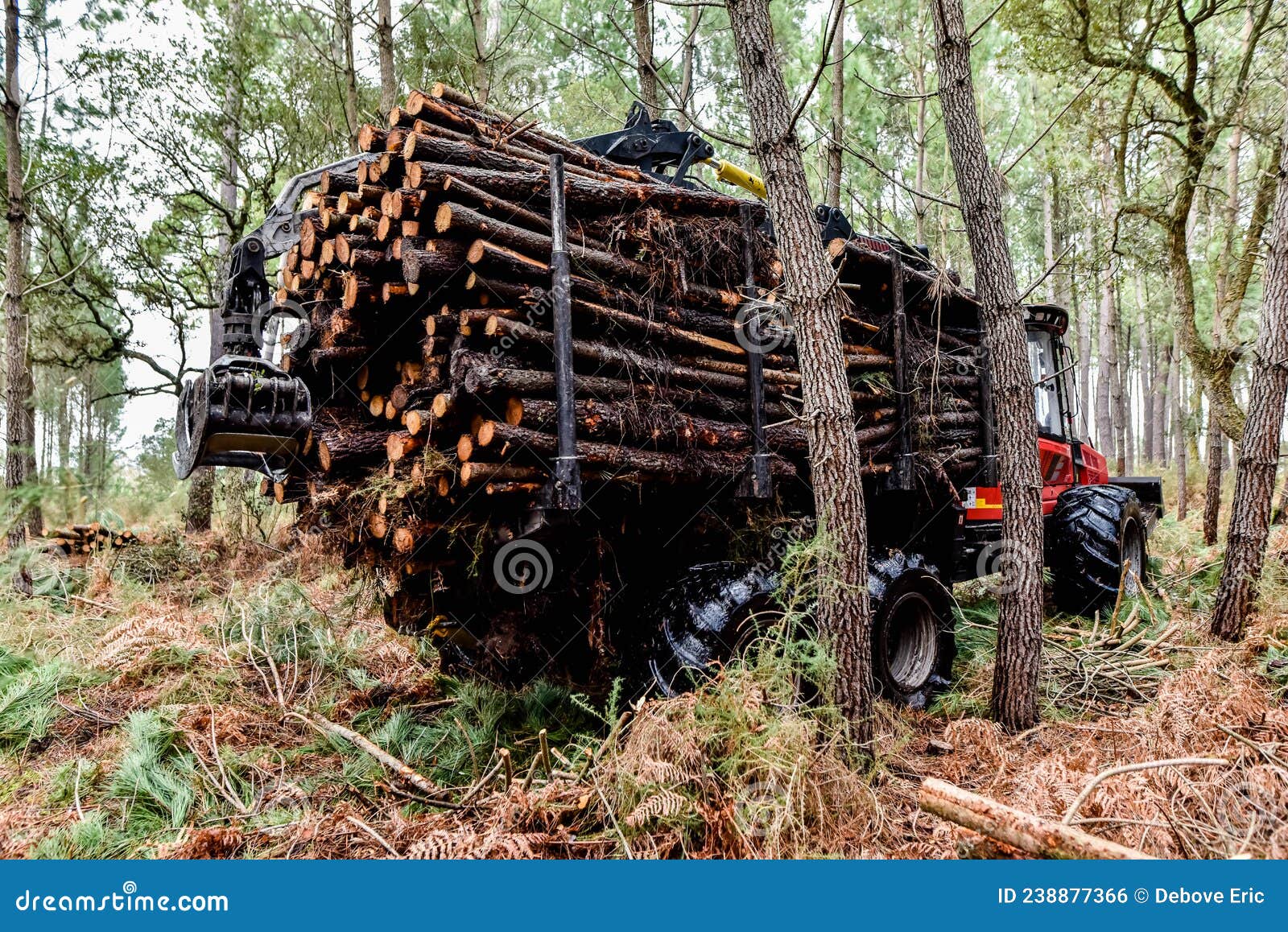 All-terrain Forestry Forwarder for Handling and Transporting Tree ...