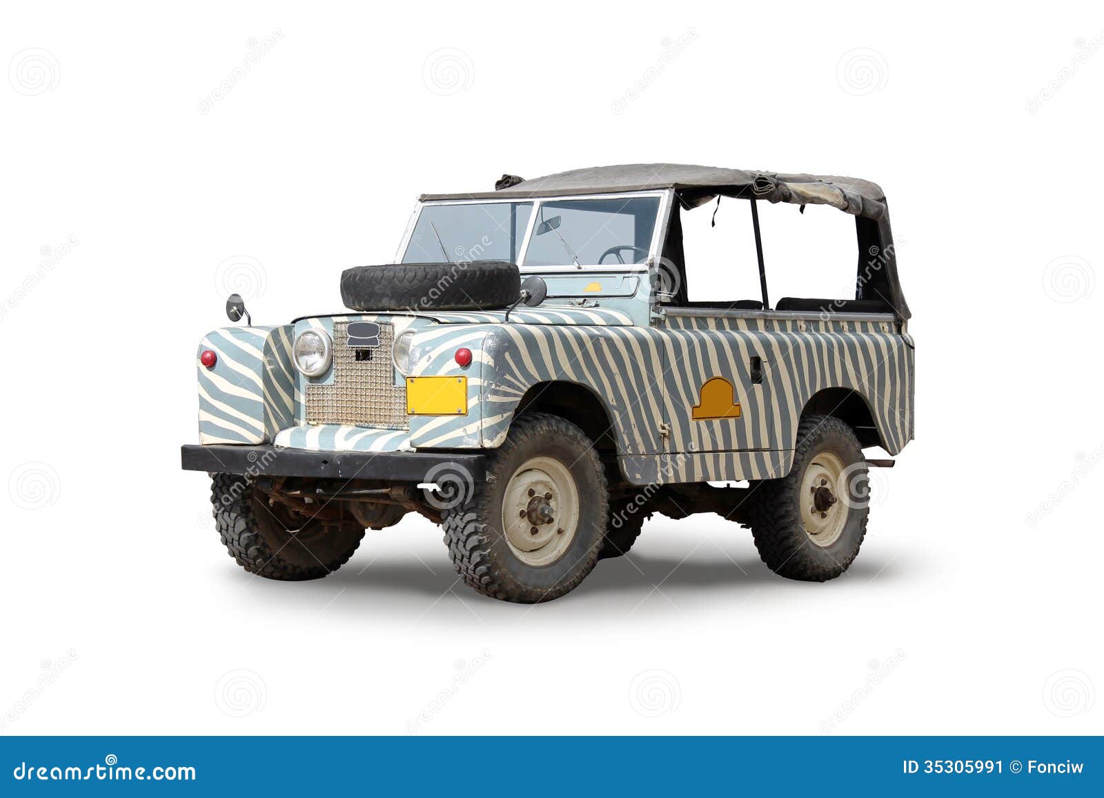 All terrain safari zebra stock image. Image of desert - 35305991