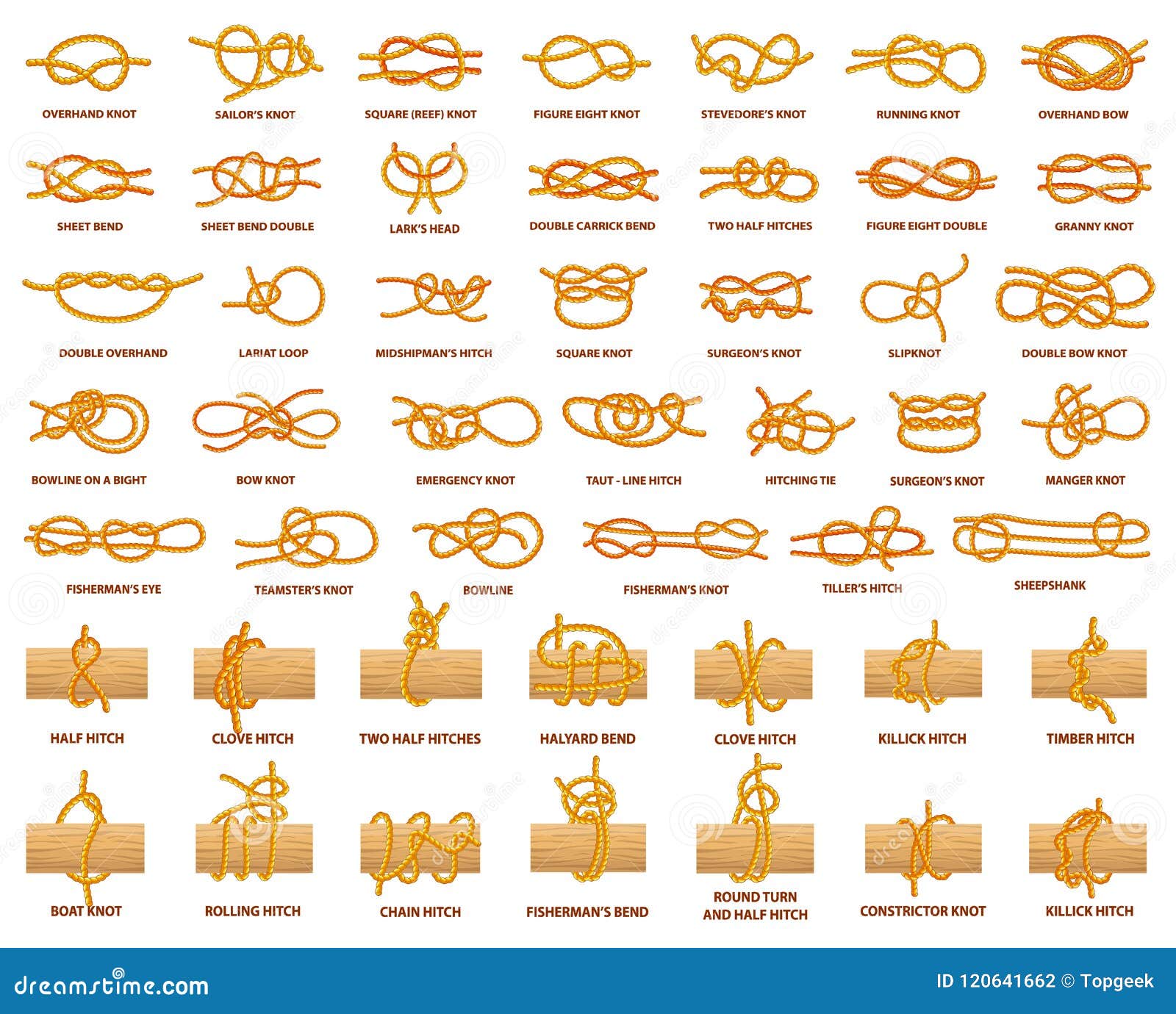 All Types of Knots Demonstrated with Strong Rope Stock Vector ... All Types of Knots Demonstrated with Strong Rope Stock Vector ...