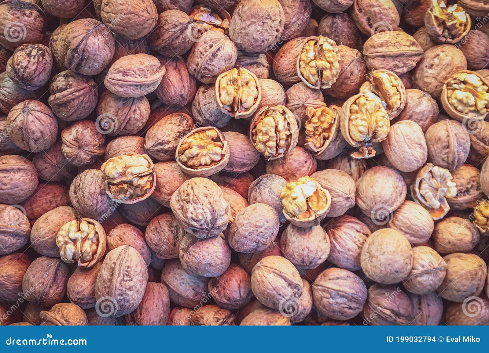 All wallnuts stock photo. Image of wallnuts, nourishment - 199032794