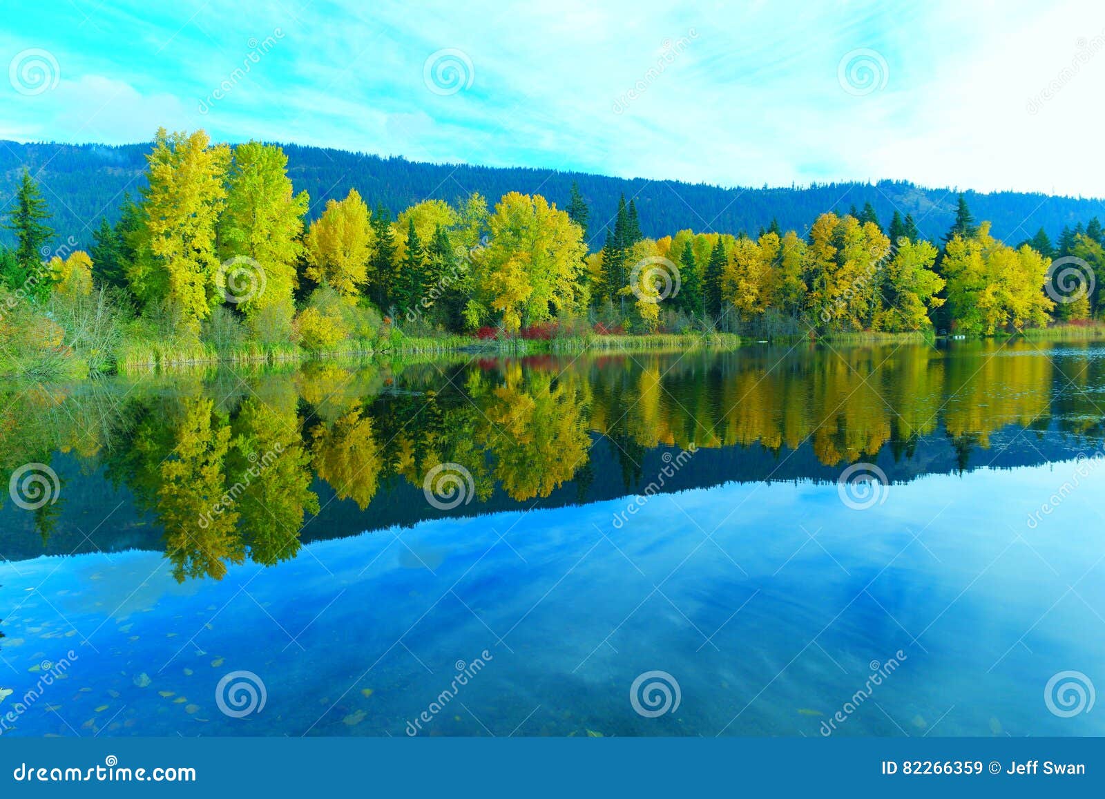 All the Ways of Looking at Water. Stock Image - Image of water, looking ...