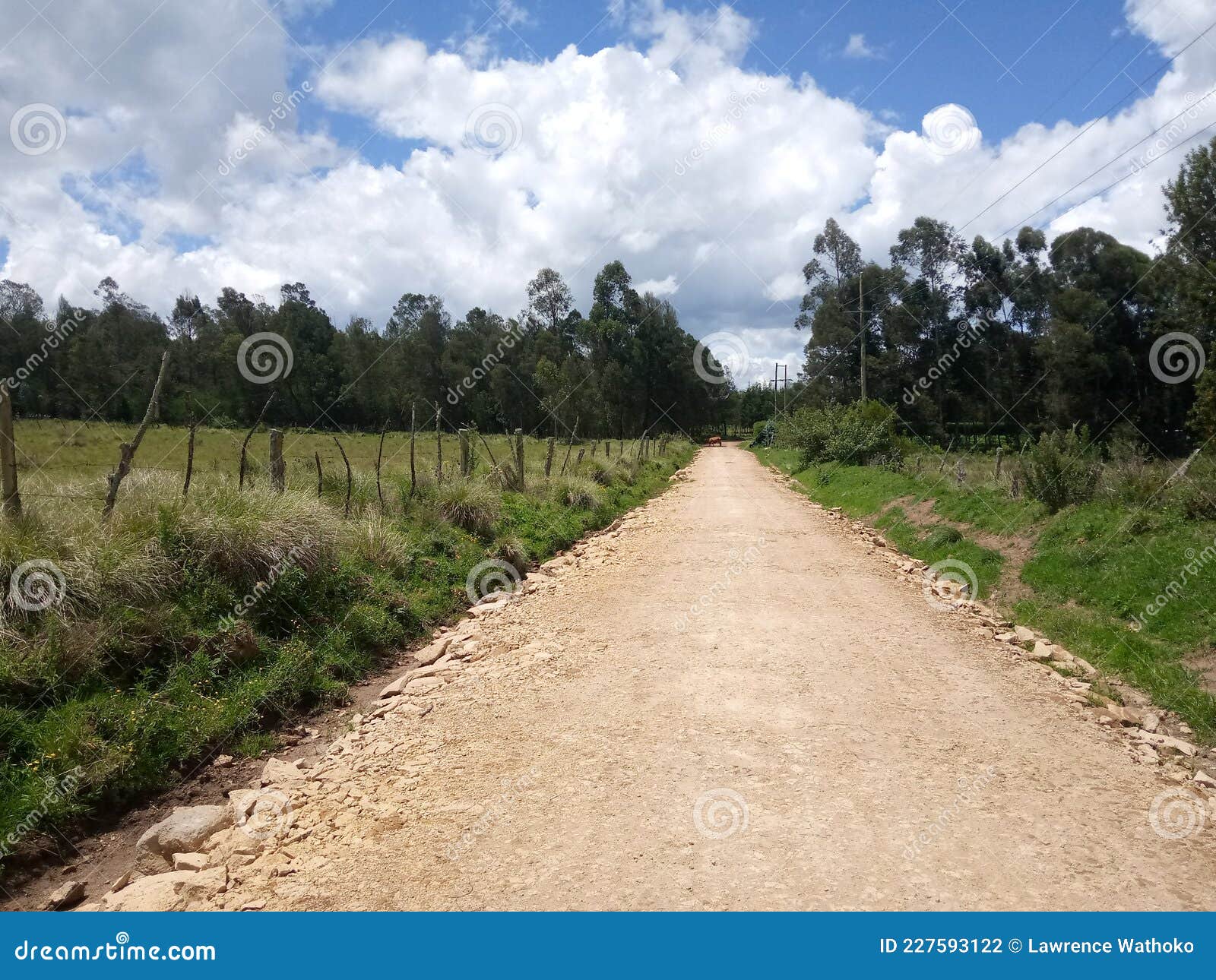 All weather rural road stock photo. Image of grassland - 227593122