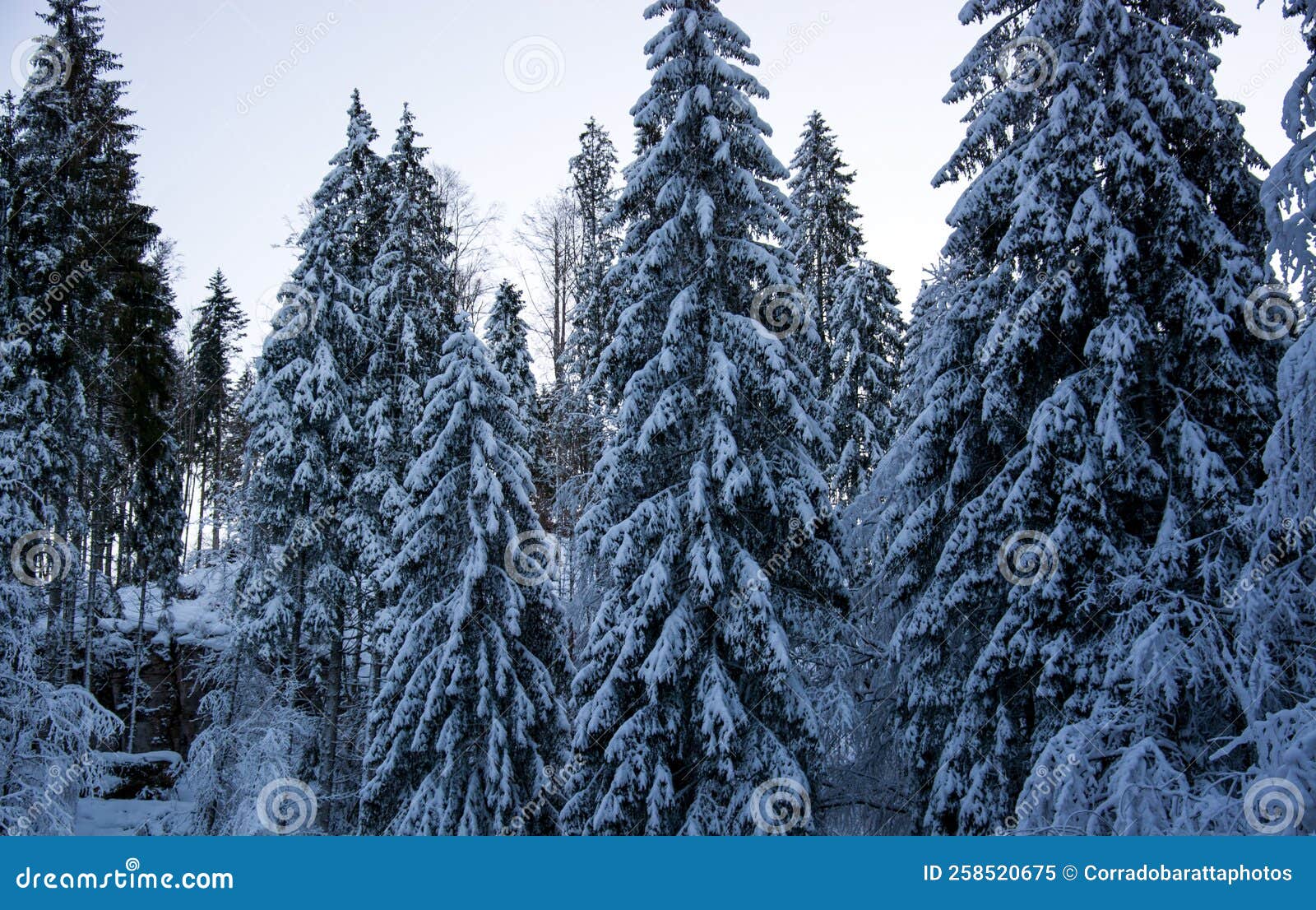 The Cold and Snow Has Arrived on the Mountains Stock Image - Image of ...