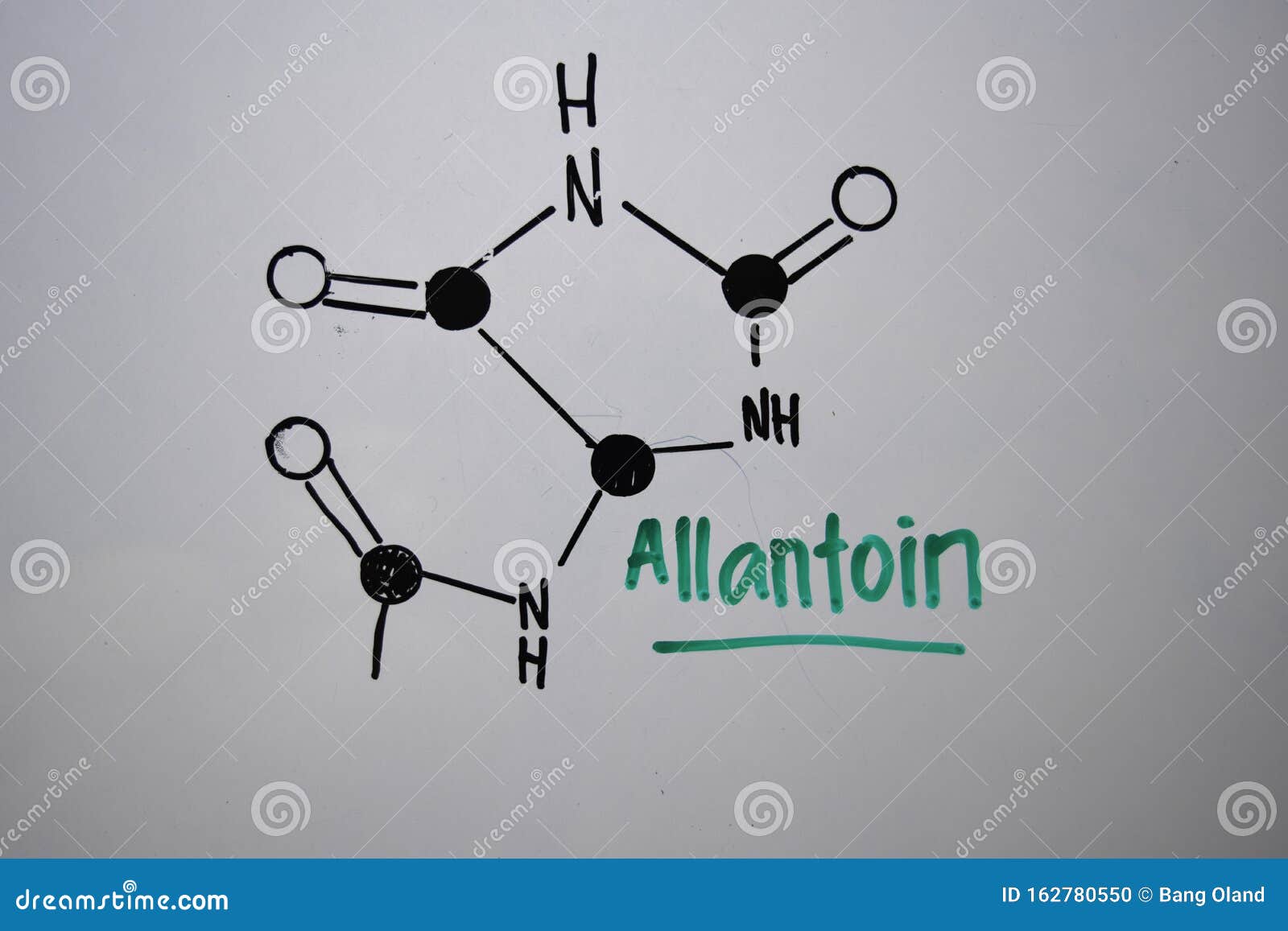 Allantoin or Called 5-uredohydantoin Molecule Write on the White Board ...