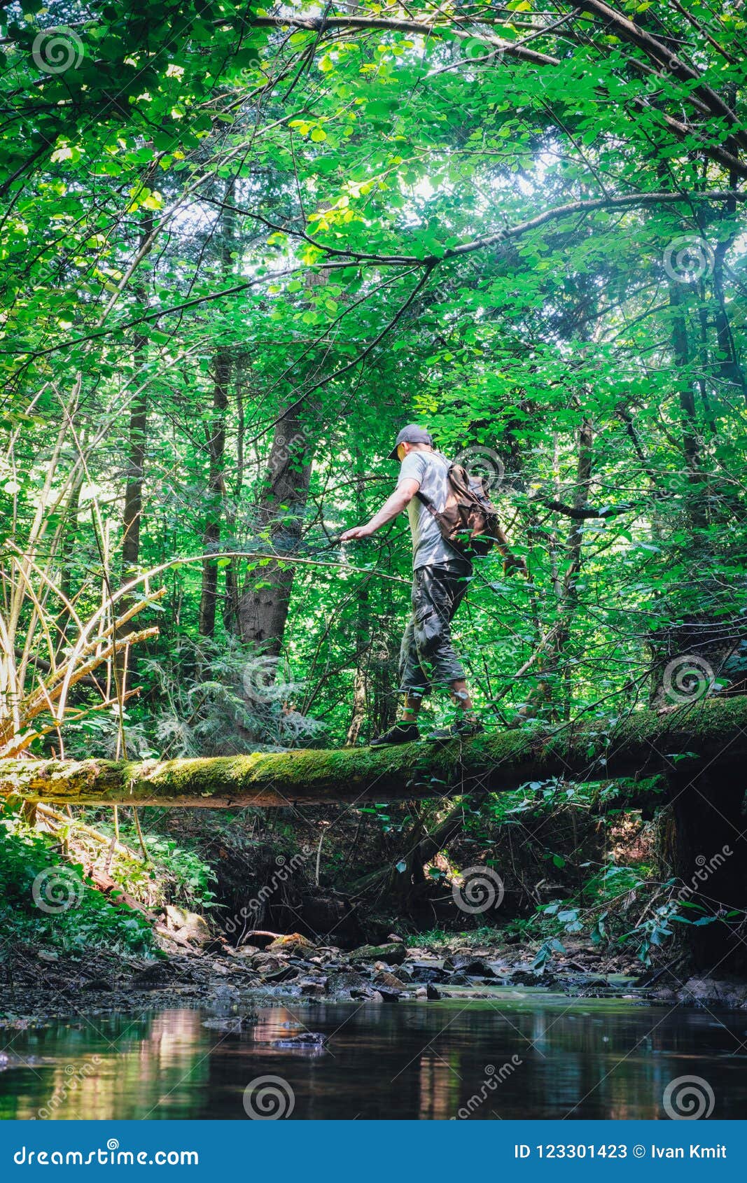 Alleen mens in wild bos stock afbeelding. Image of lente - 123301423