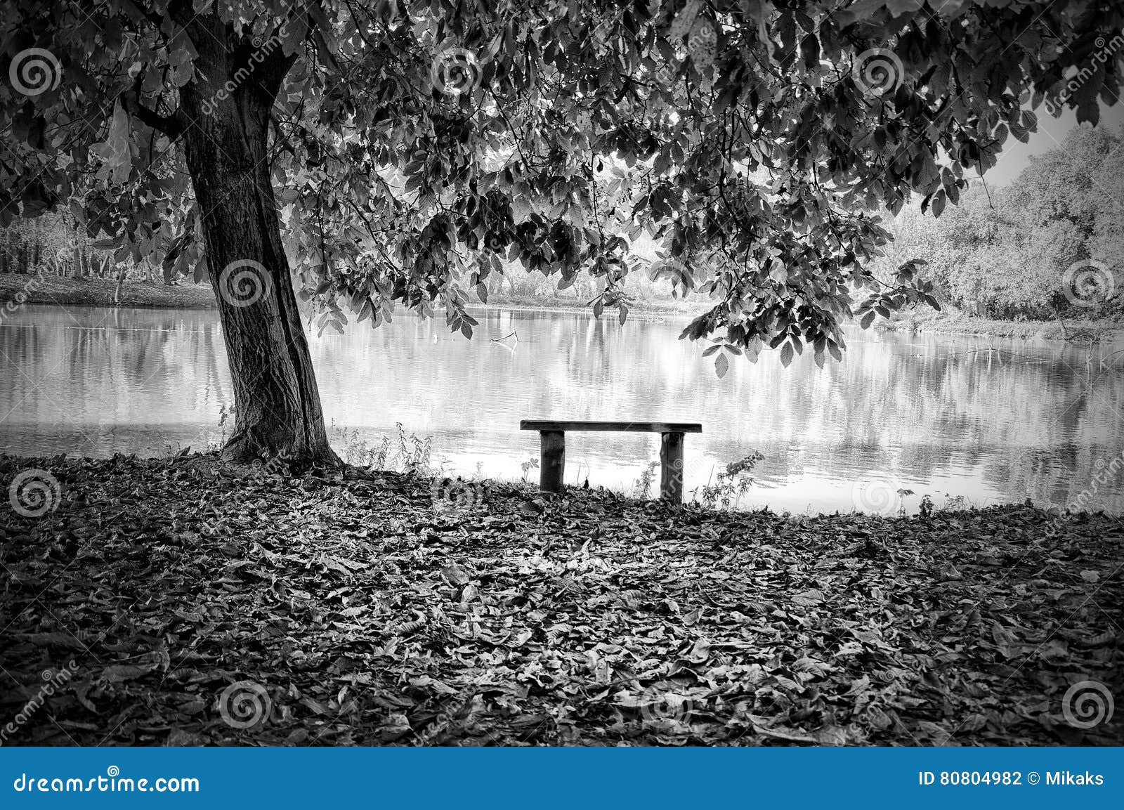 Alleen samen stock foto. Image of eenzaam, verbeelding - 80804982