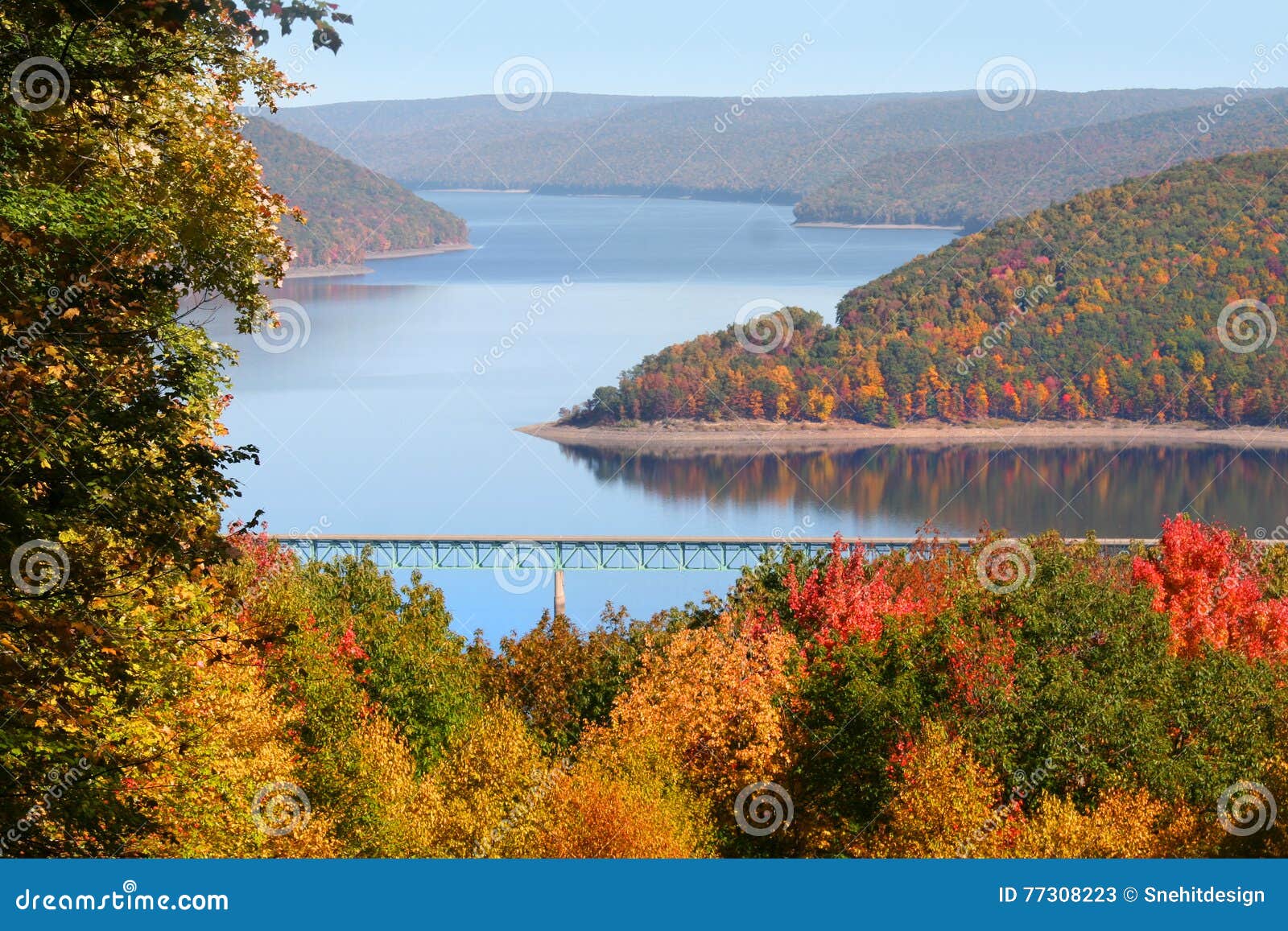 Allegheny national forest stock image. Image of tree - 77308223