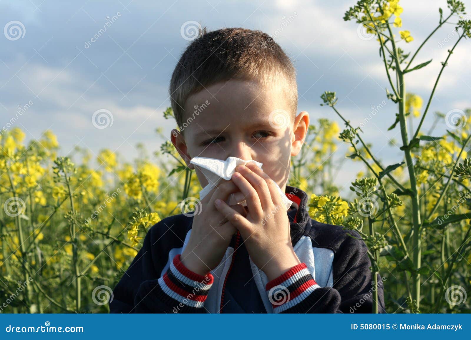 Allergy stock image. Image of handkerchief, tissue, field - 5080015